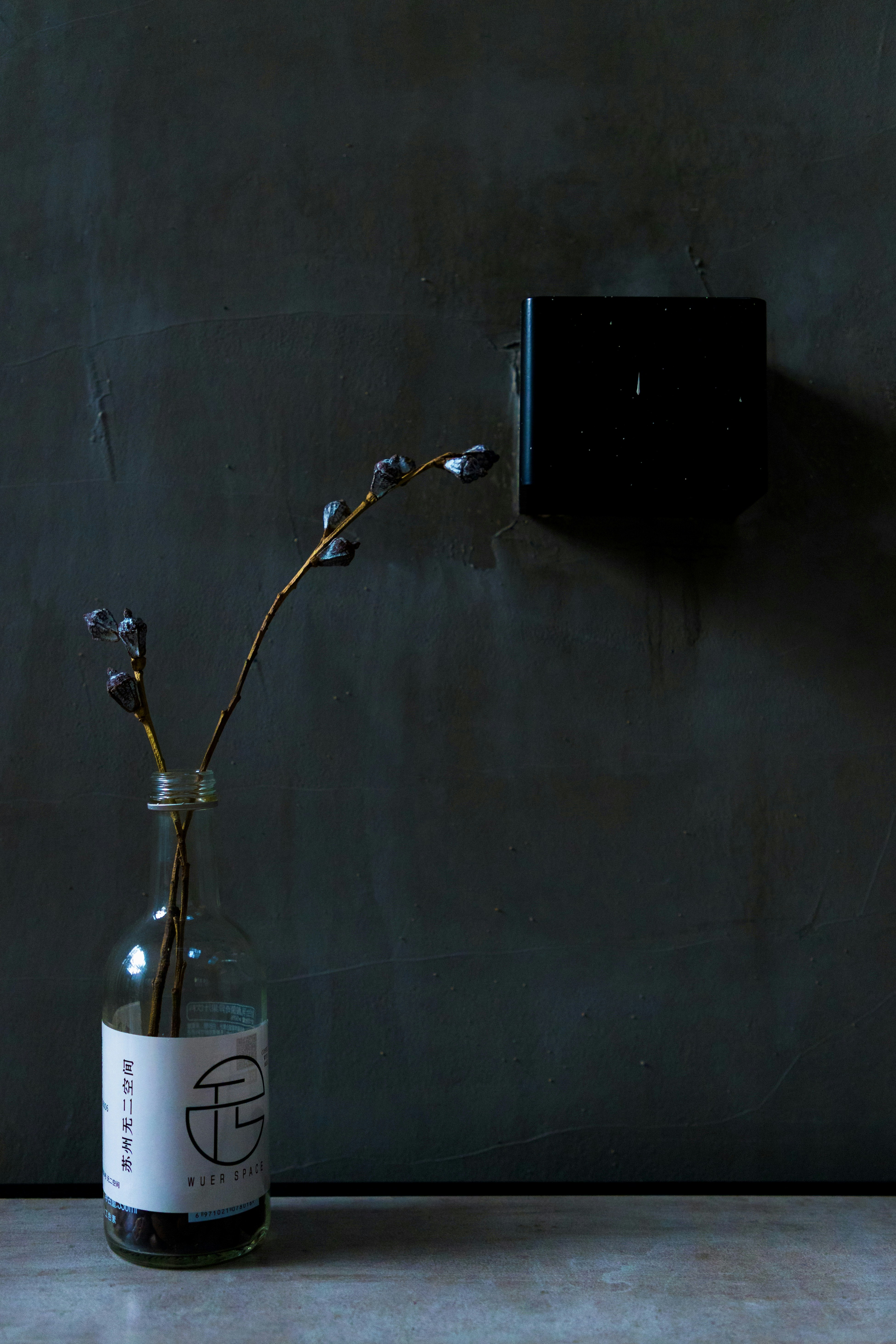 Sparse Still Life: Glass Bottle with Dried Branches Under a Dark Wall Light