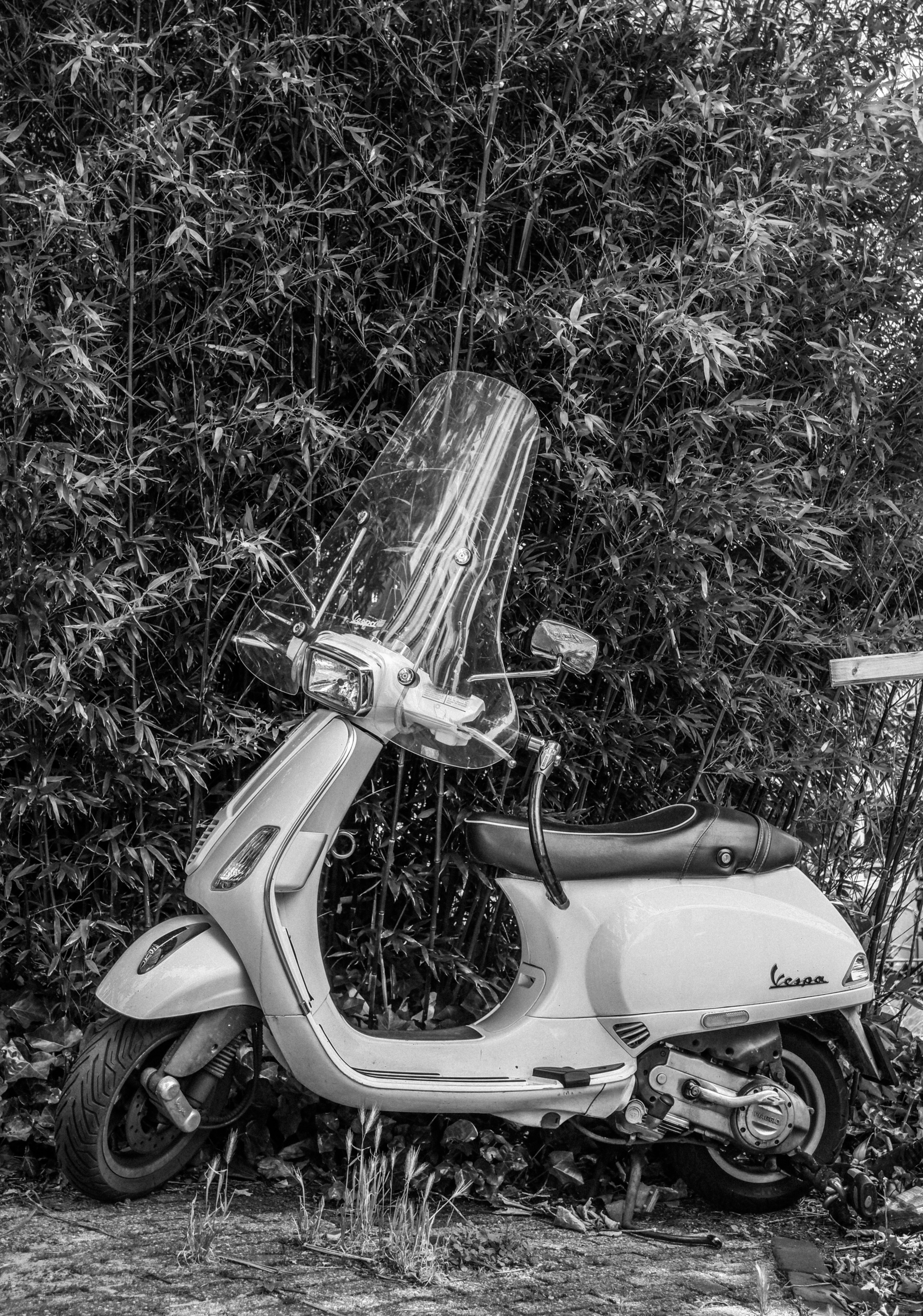 motor scooter parking near plants