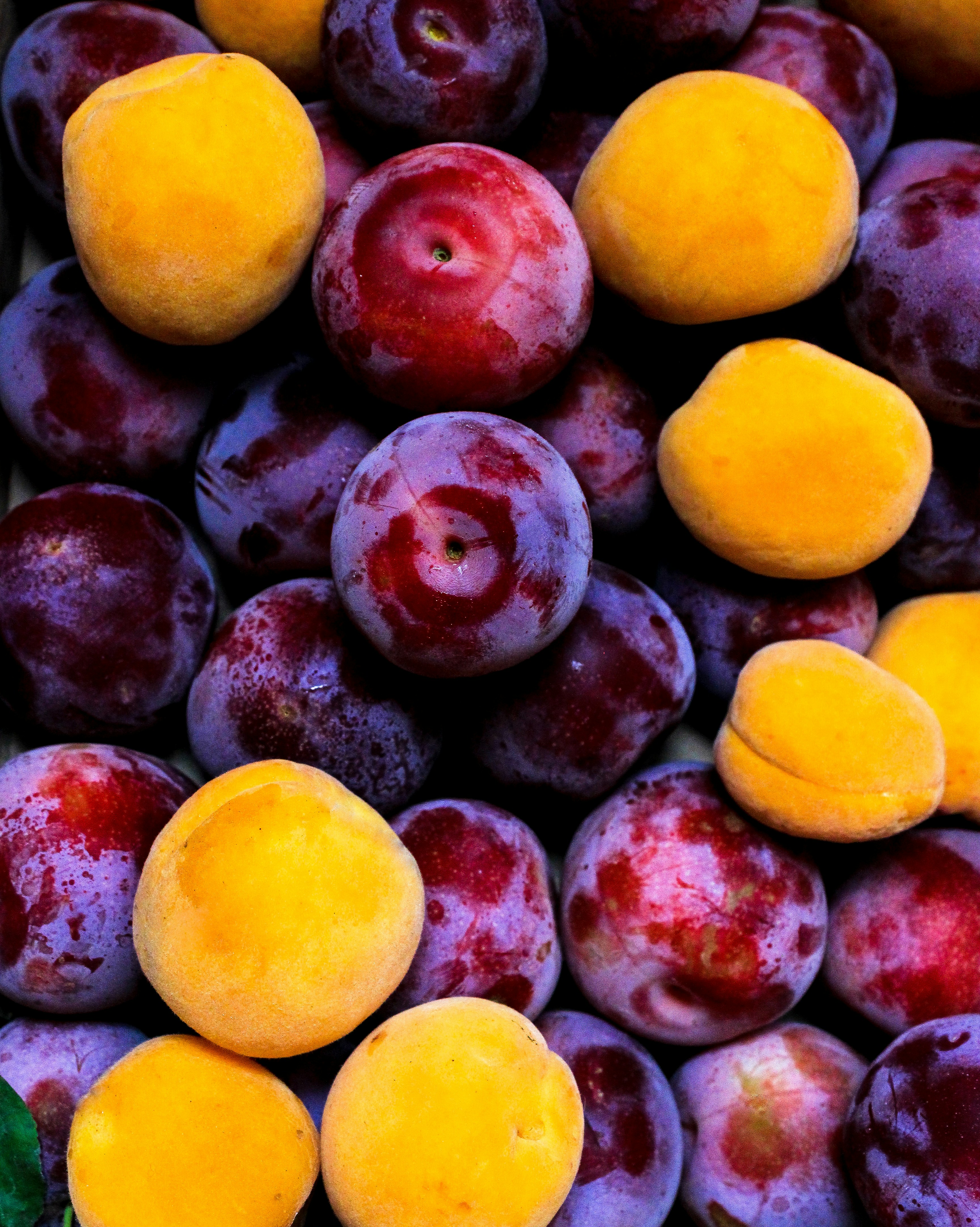 Selective focus photography of red and yellow fruits photo – Free Plant ...