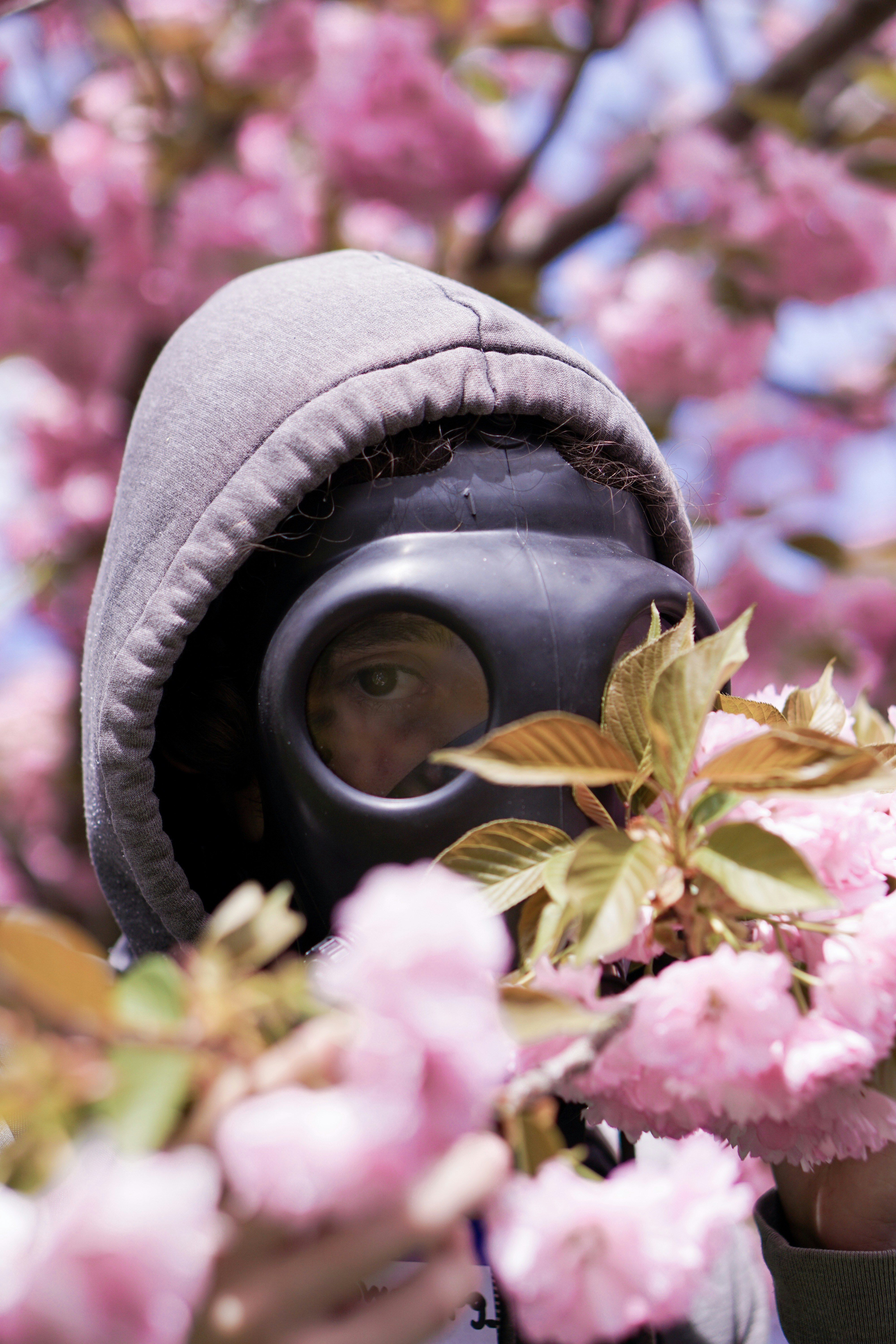 Gaze Through Pink Whispers: A Hooded Figure with a Gas Mask