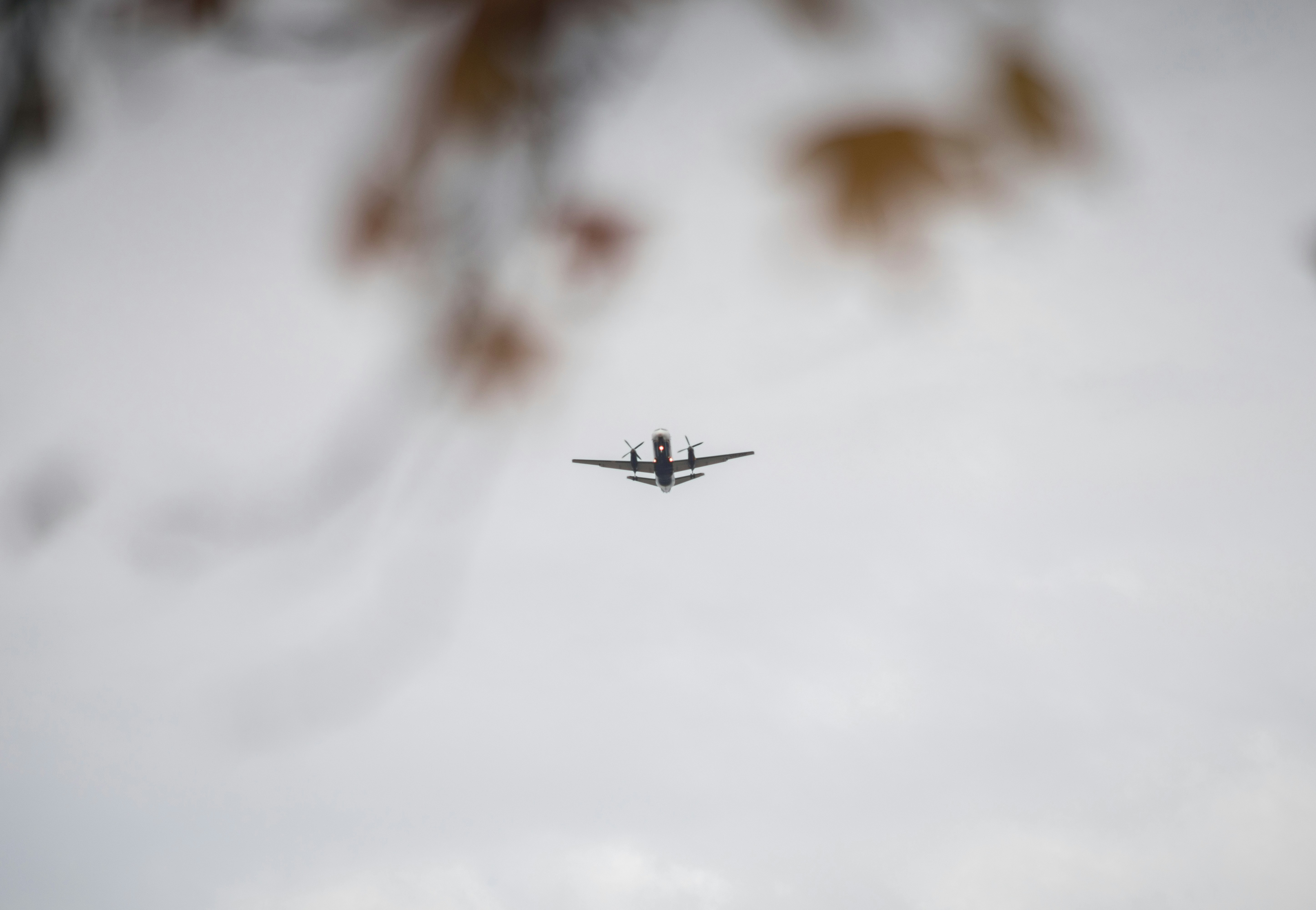 An aircraft glides through a cloudy sky, framed by the blurred outlines of autumn leaves. 