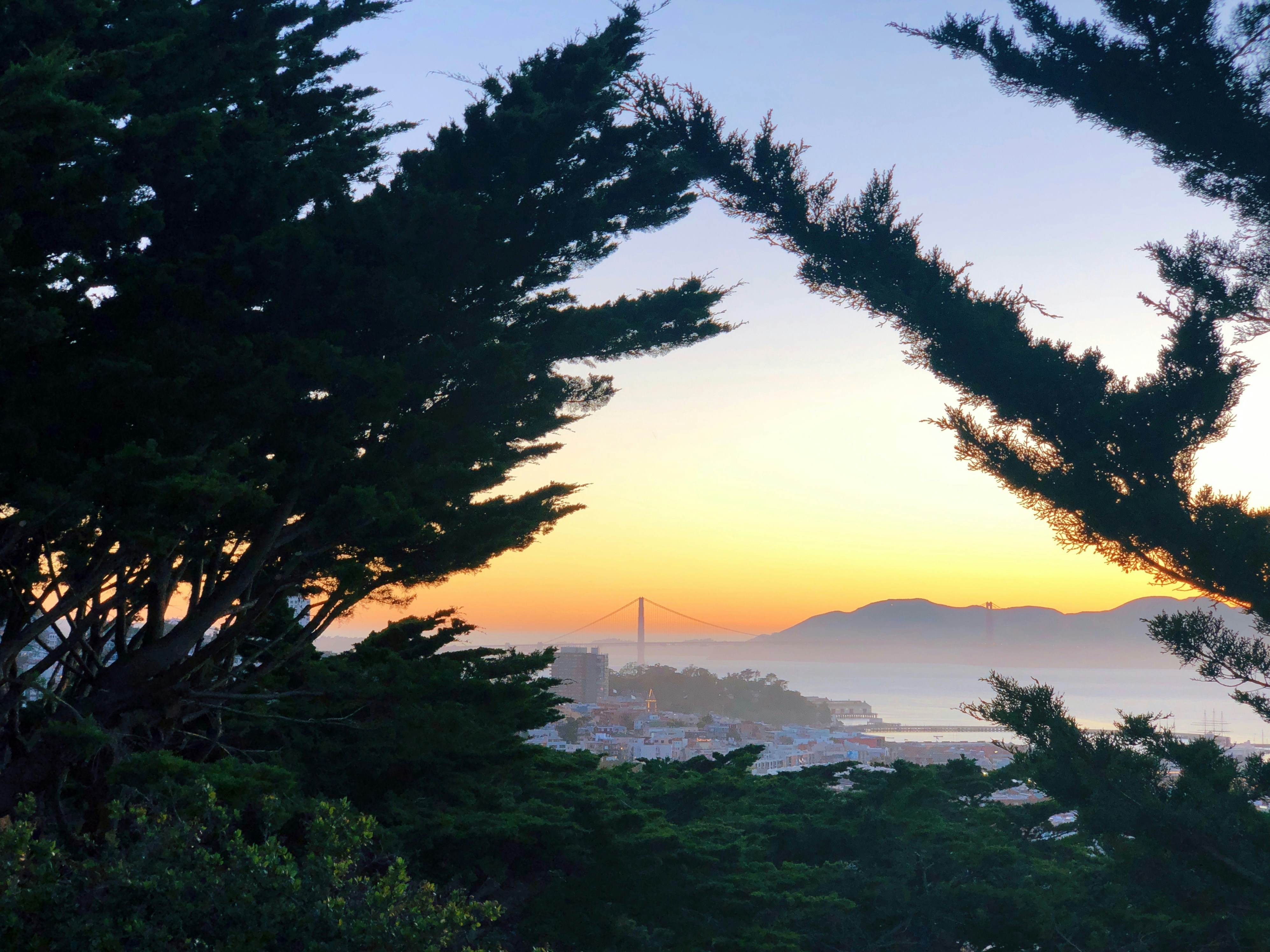 Définition de télégraphique | Dictionnaire français