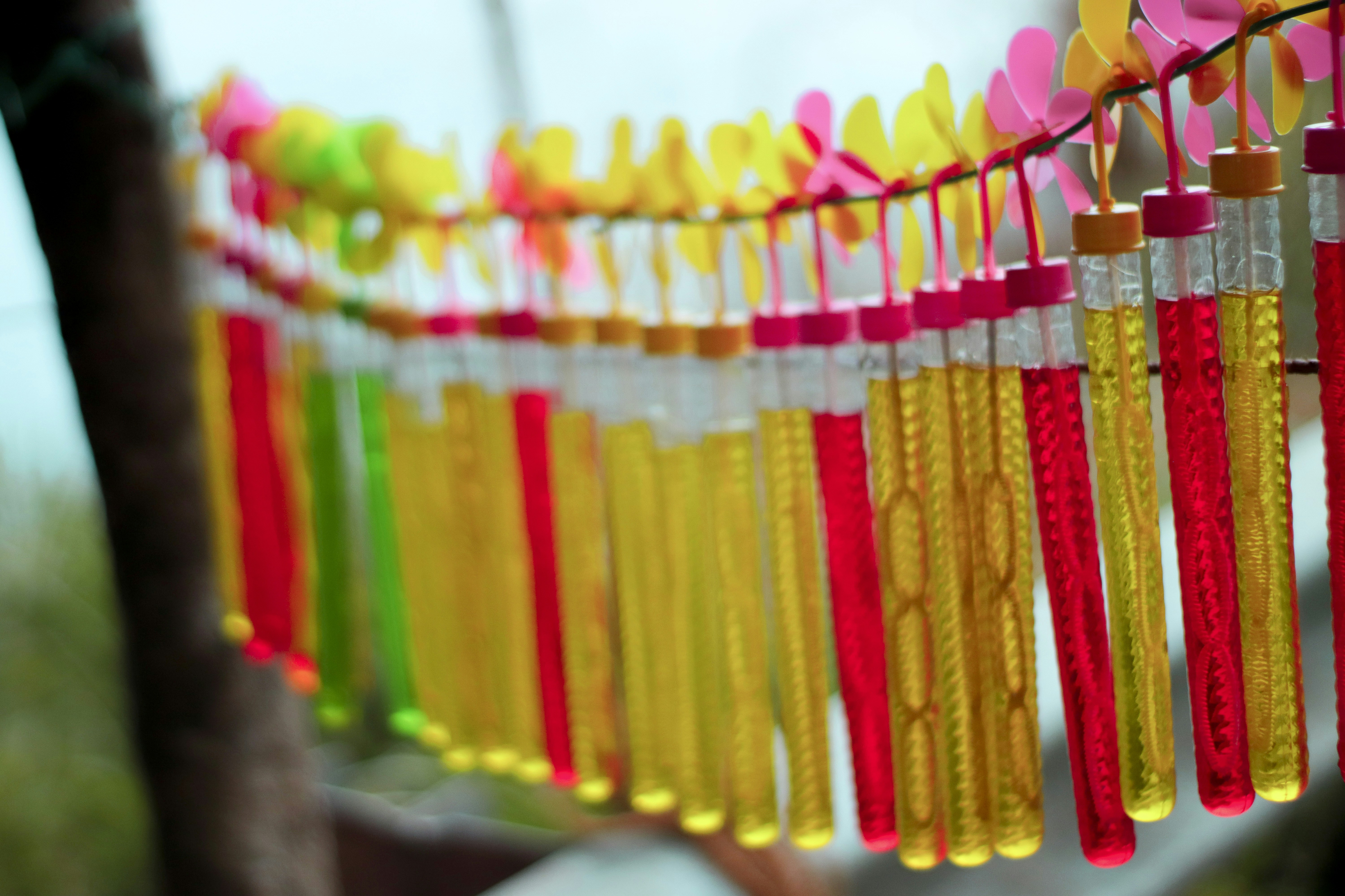 Multicolored water balloon containers photo – Free Food Image on Unsplash