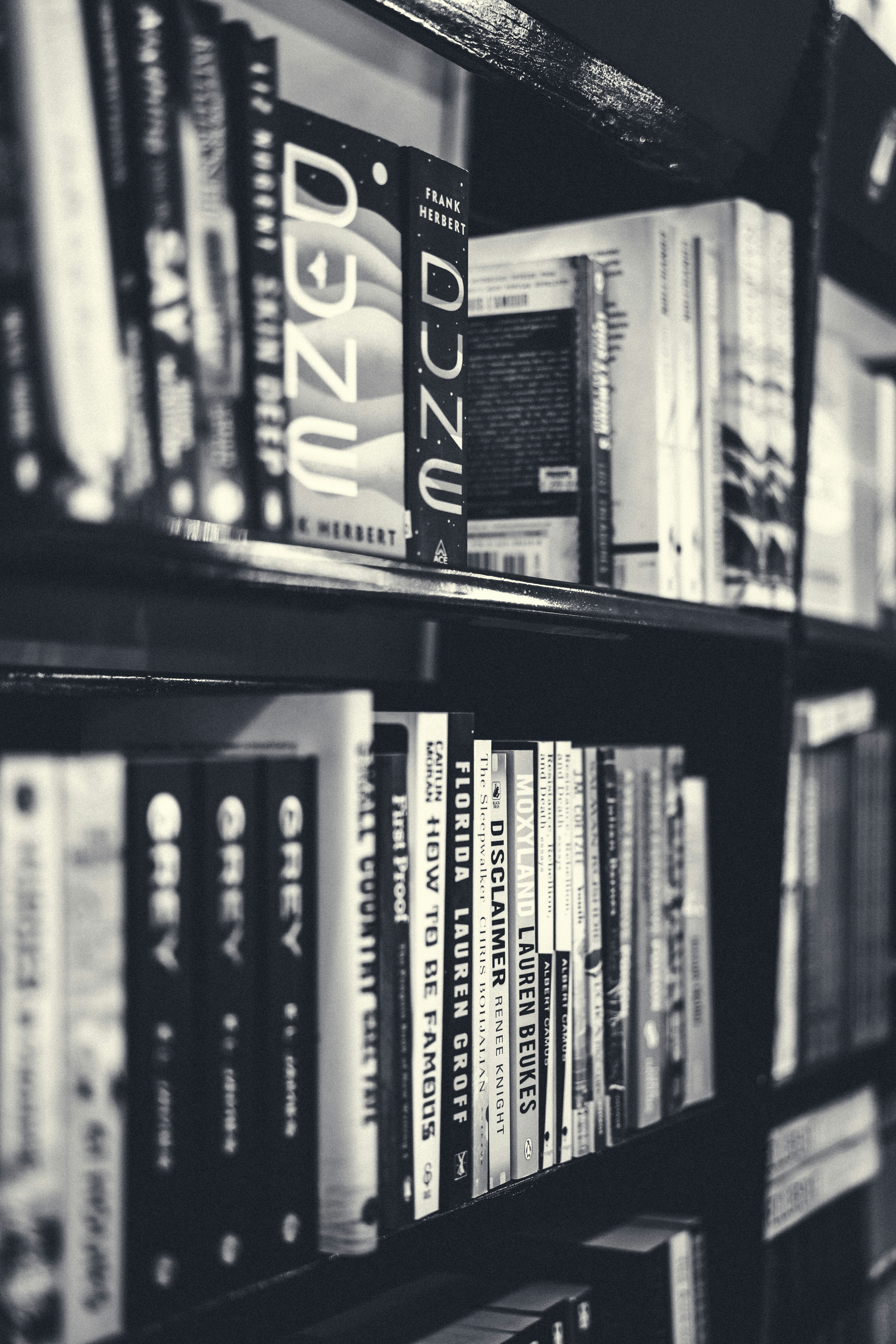 Grayscale photography of books in bookcase photo – Free Book Image on ...
