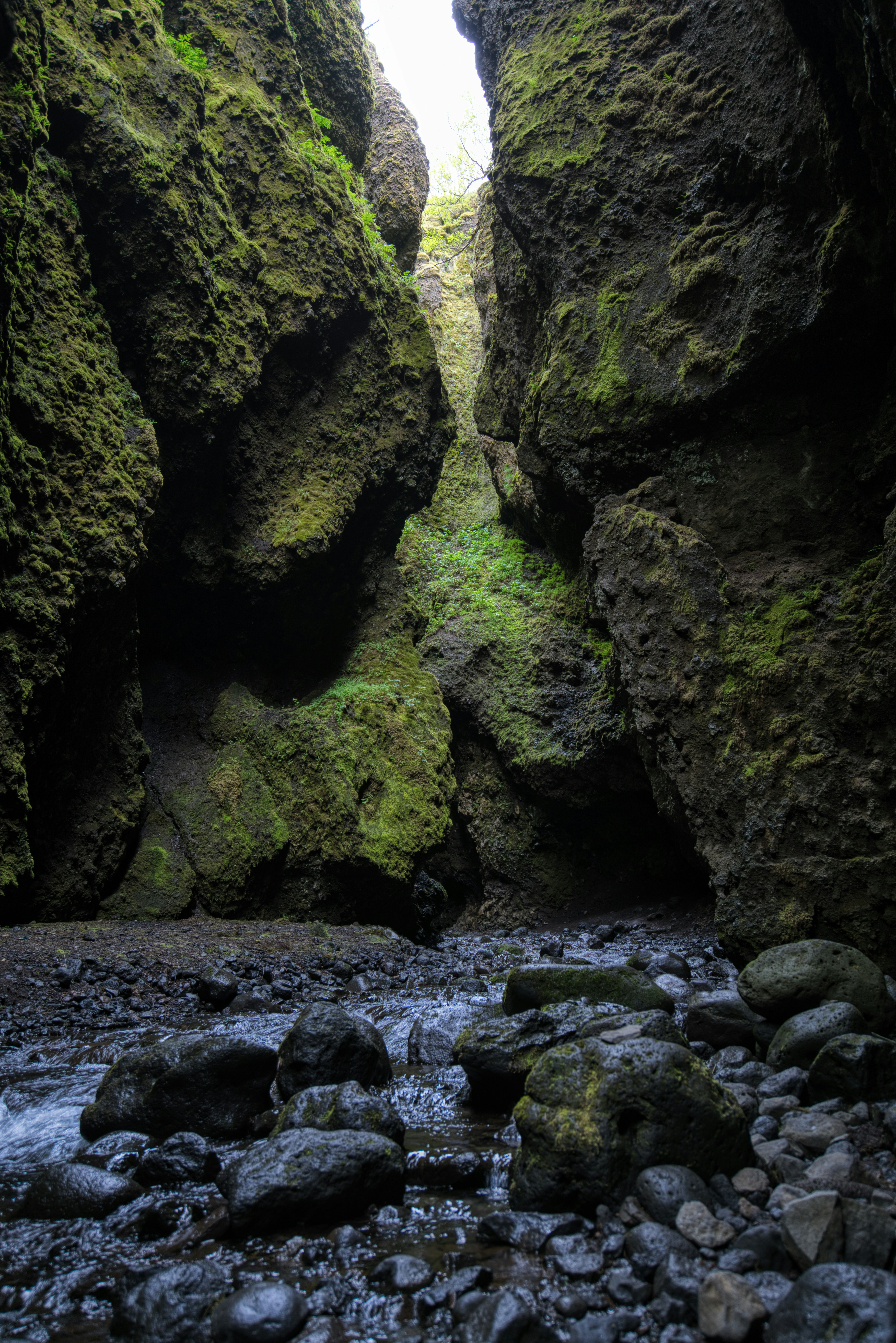 Photographie de paysage de formation rocheuse verte et noire photo ...