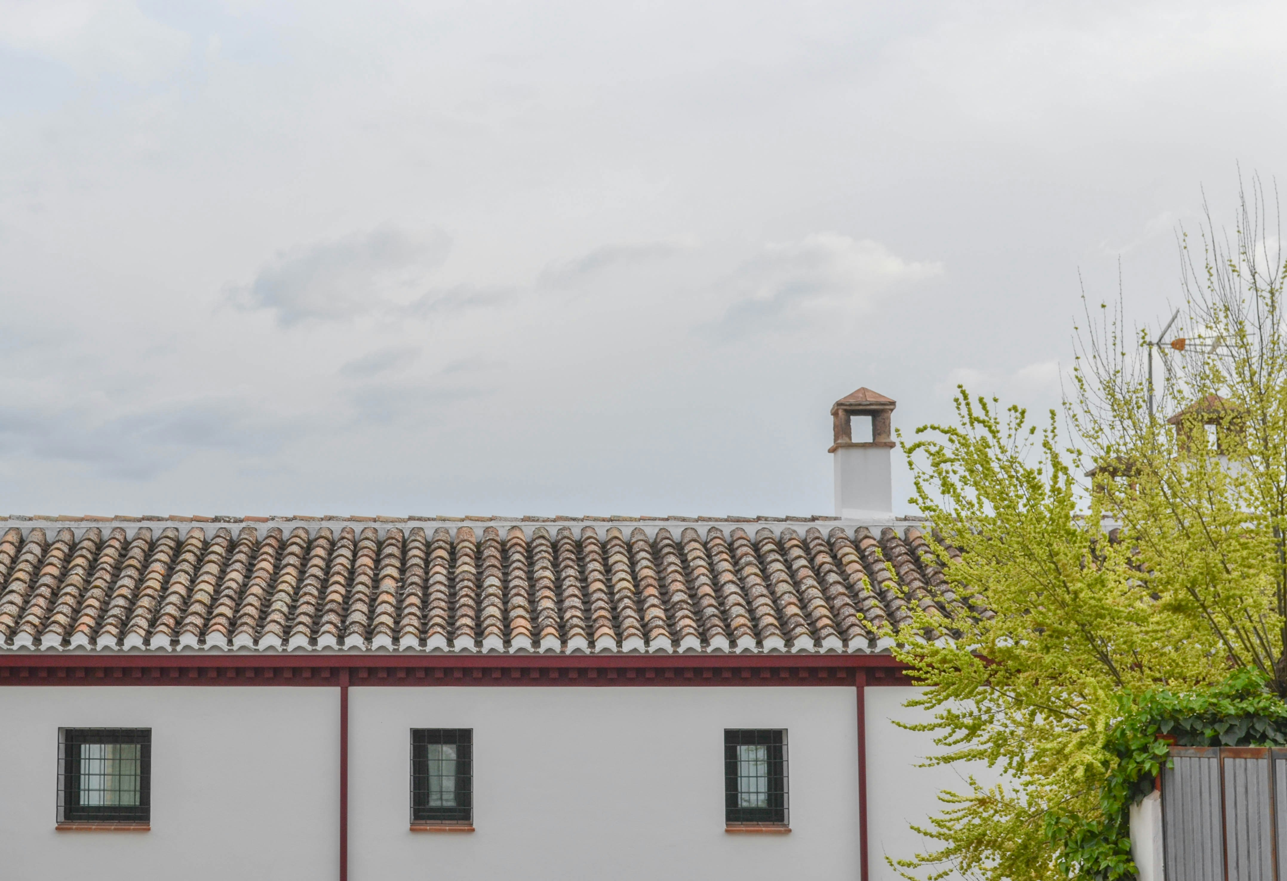 Traditional tiled roof of a white building juxtaposed with a vibrant green tree, illustrating a serene architectural landscape.