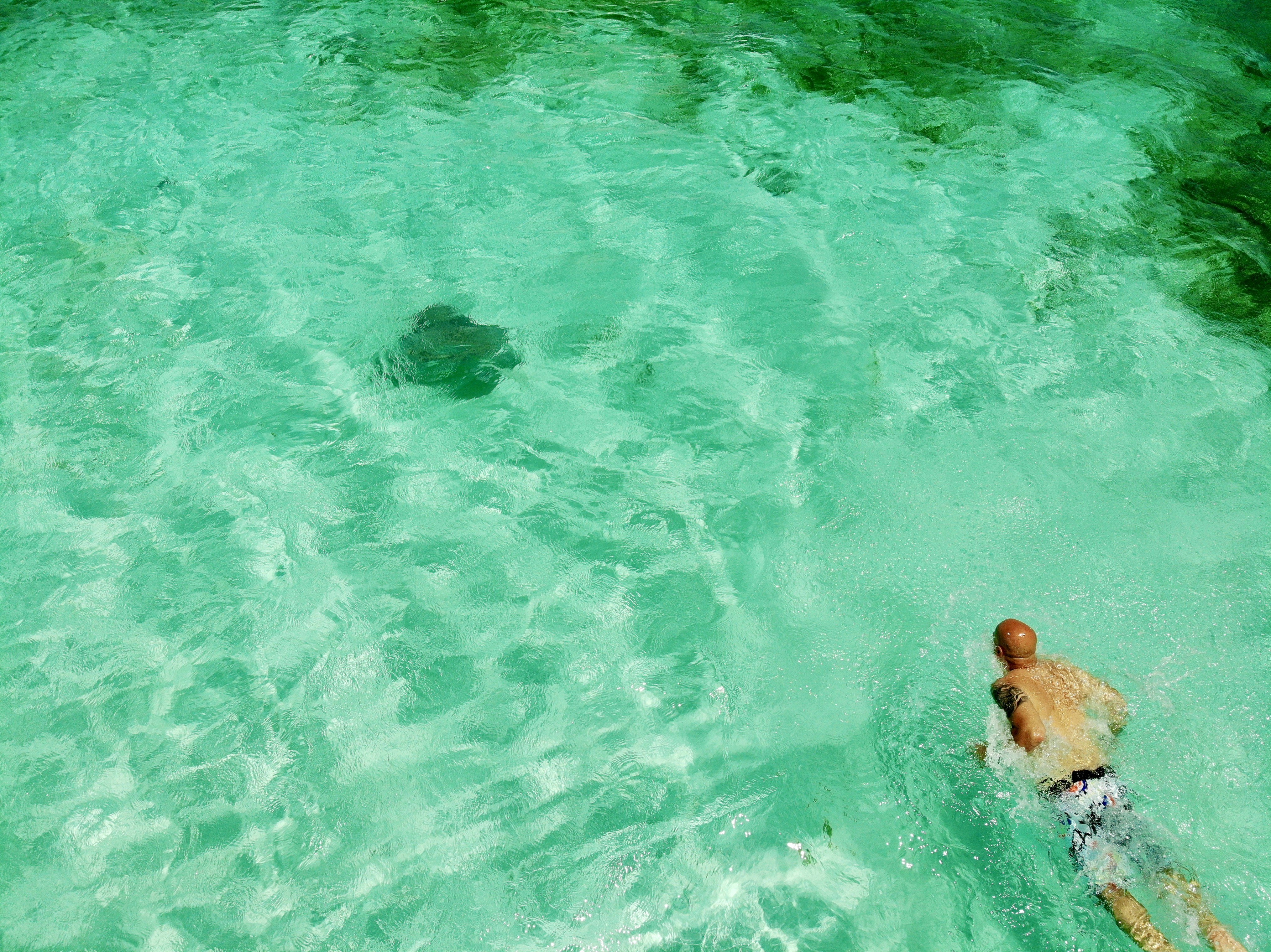 Person swimming in clear turquoise water, casting shadows on the sandy bottom.