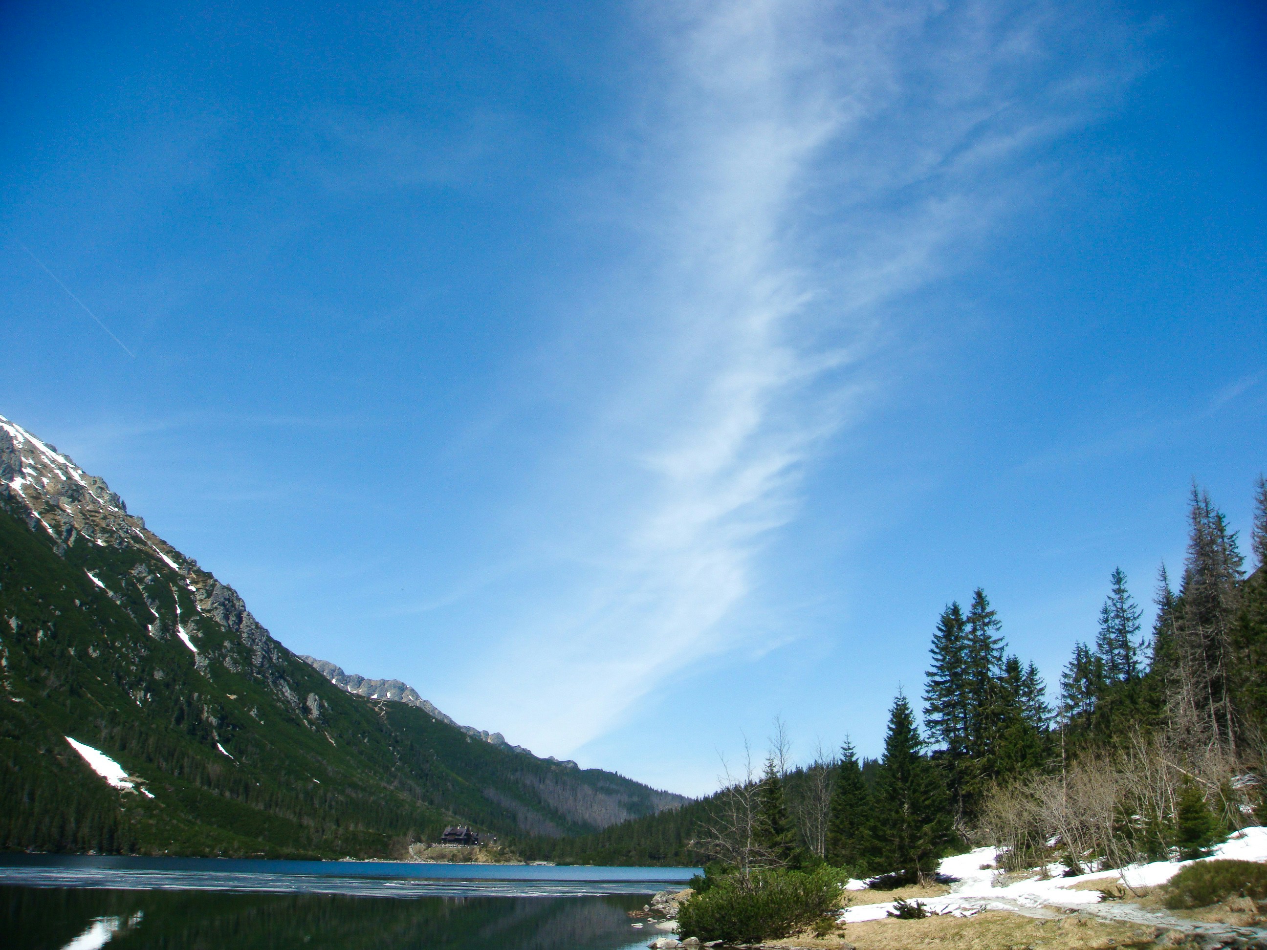 A tranquil lakeside scene featuring snow-capped mountains and lush evergreen trees under a clear blue sky.