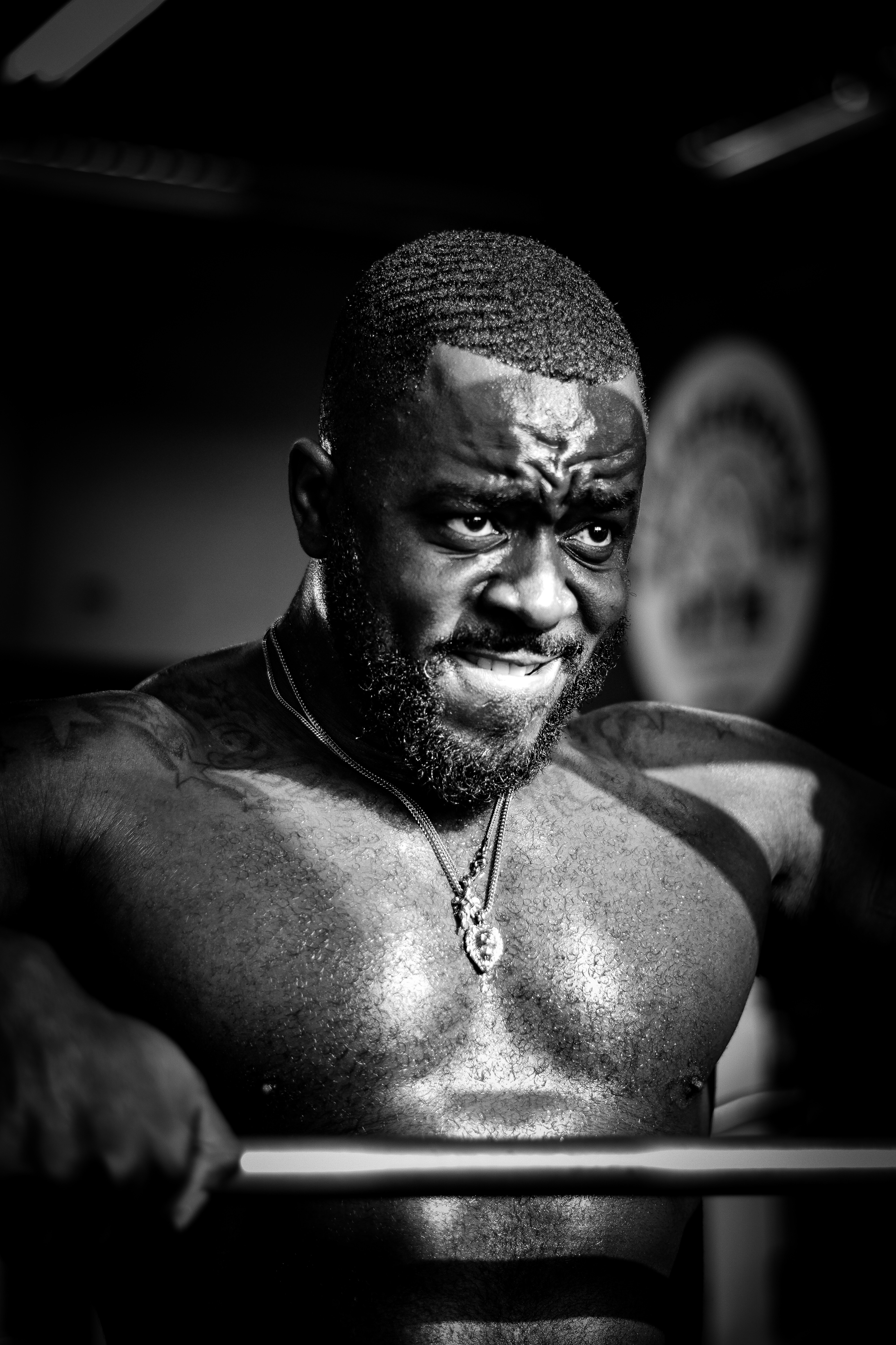 Pair of red Everlast boxing gloves beside Gatorade bottle photo – Free ...