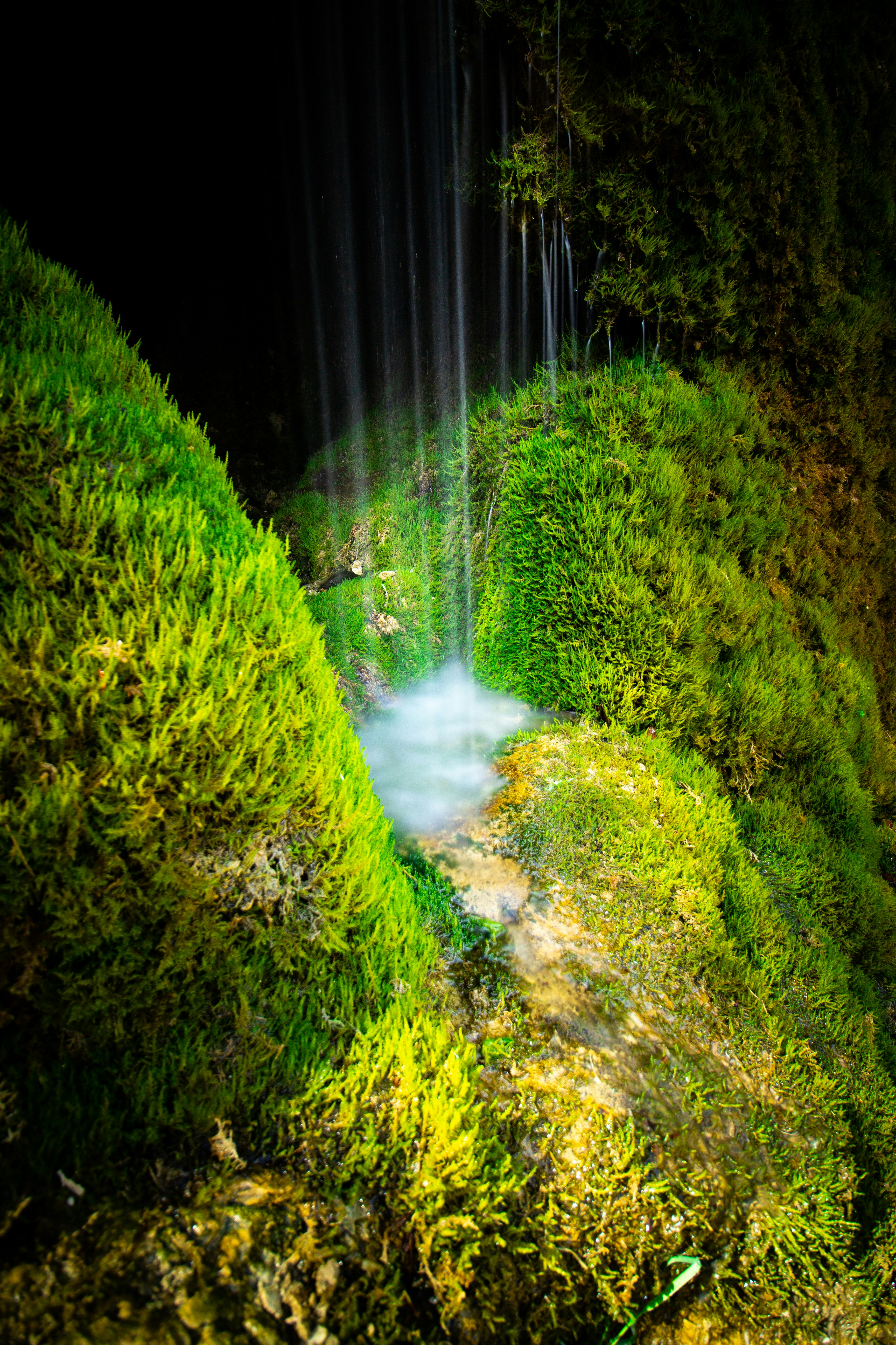 Emerald Veil: Night Cascade Through Mossy Walls