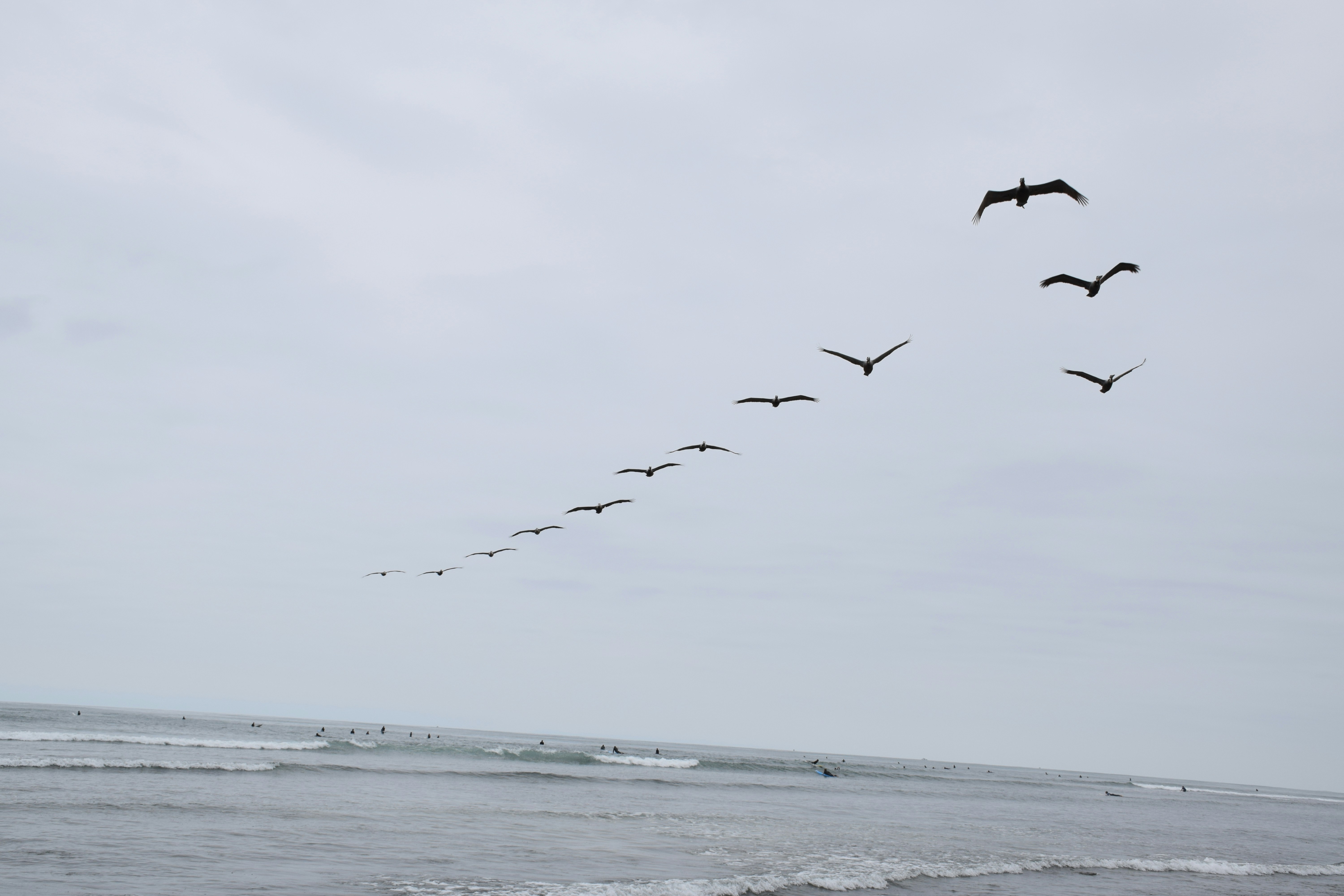 A line of seabirds gracefully flying over the ocean waves under a cloudy sky.