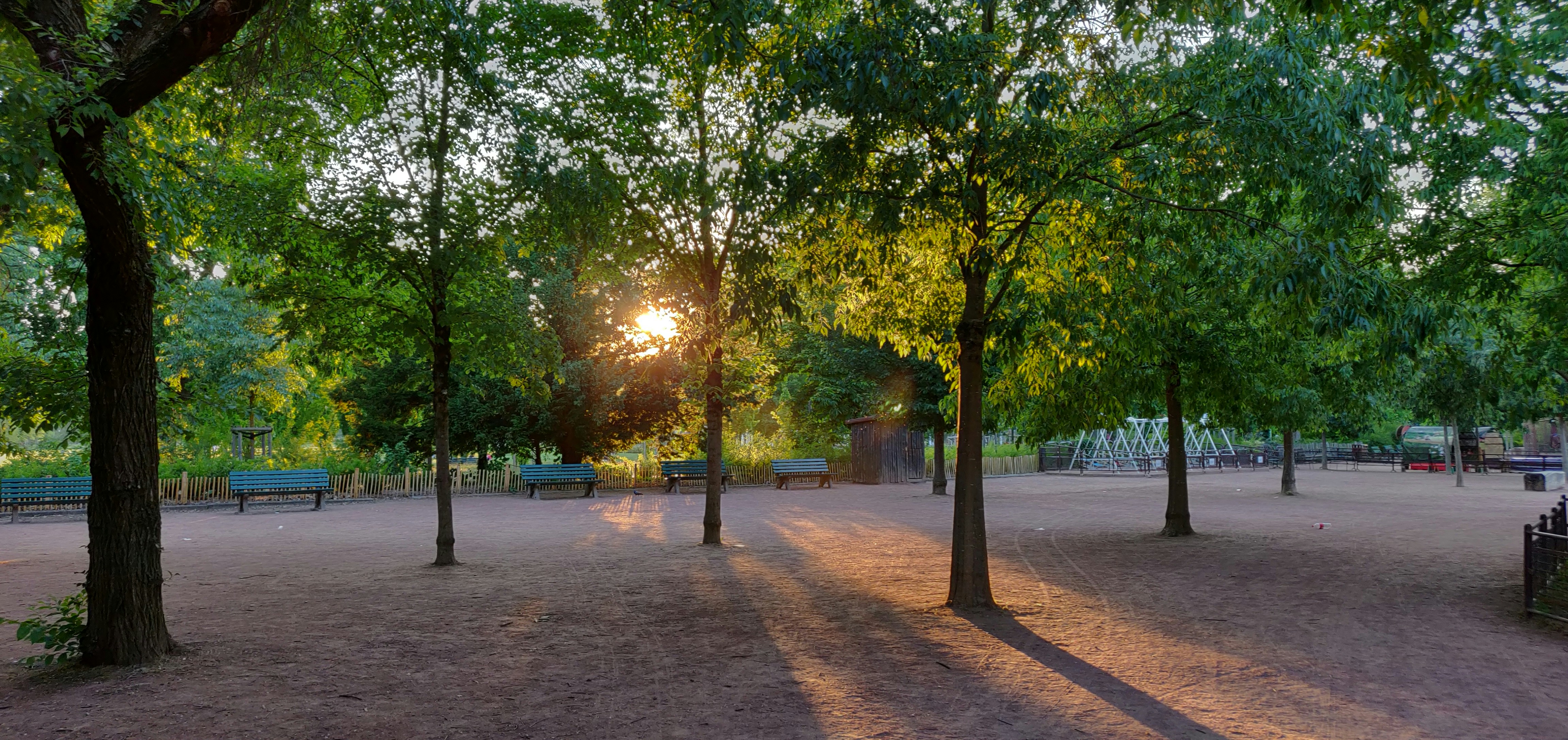Sunlight filters through lush trees in a tranquil park, casting long shadows on the sandy ground. Benches are scattered throughout, inviting relaxation.