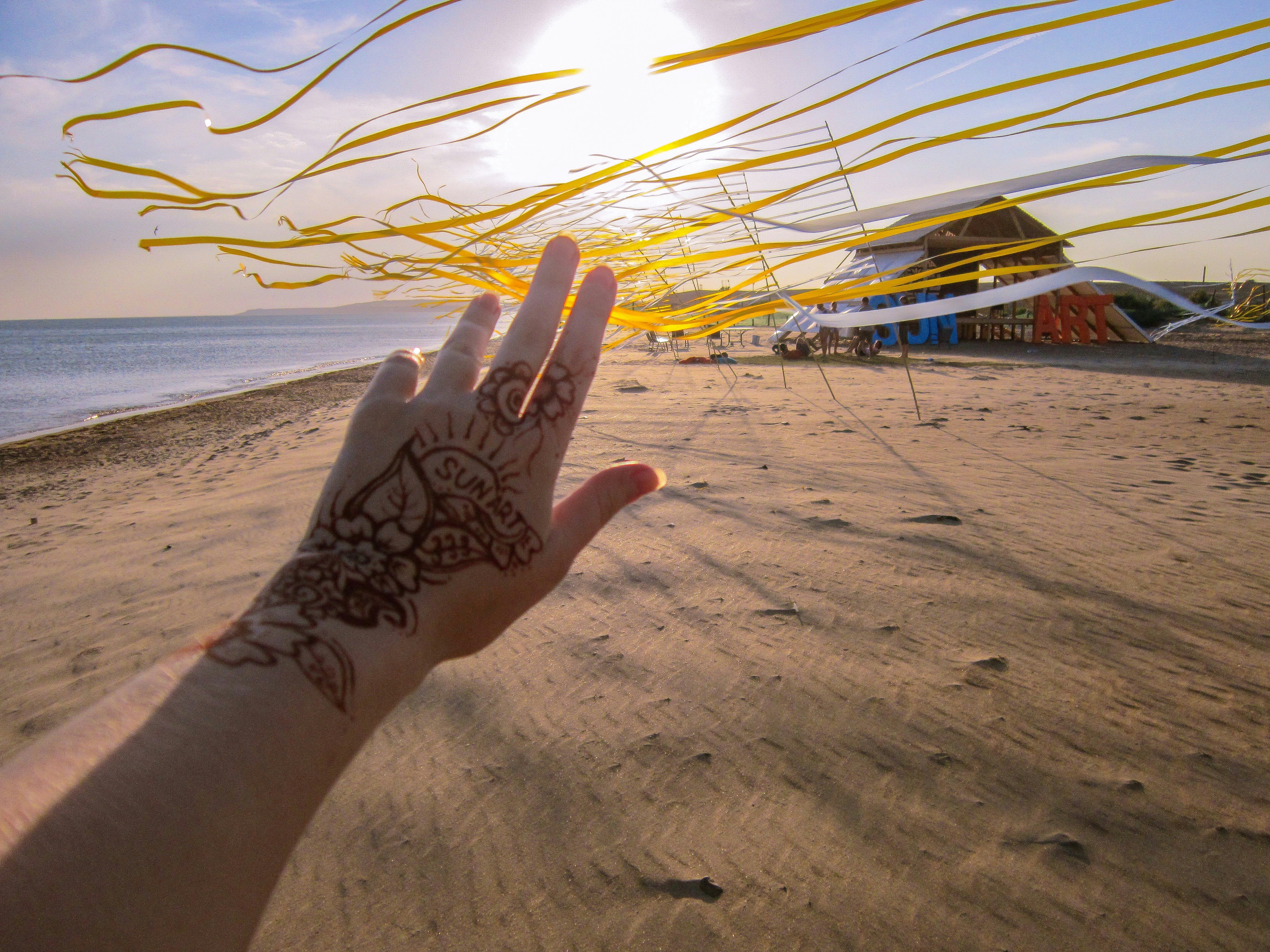 Left person's hand photo – Free Hand Image on Unsplash