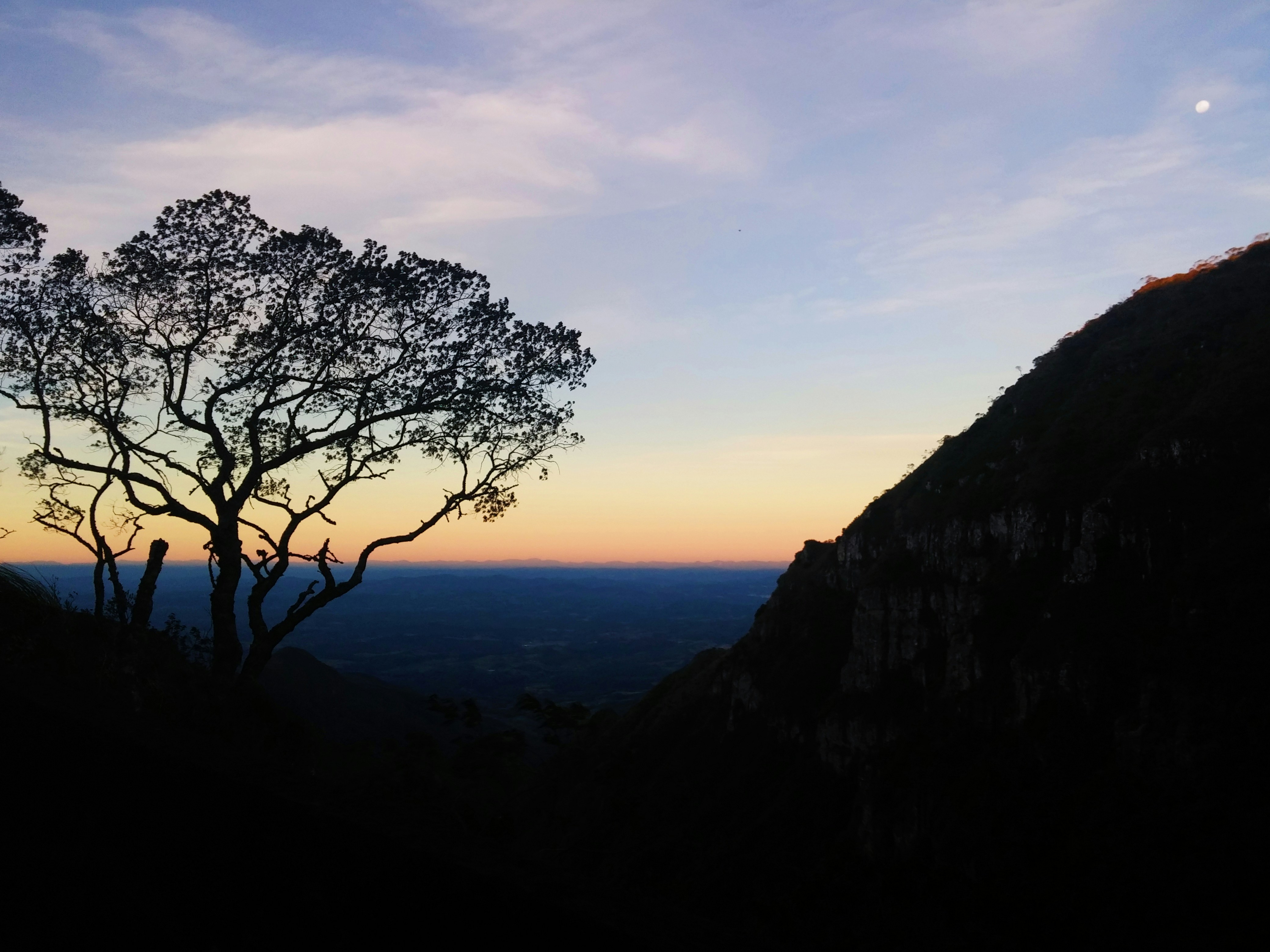 Silhouette of a tree against a colorful twilight sky with distant hills.