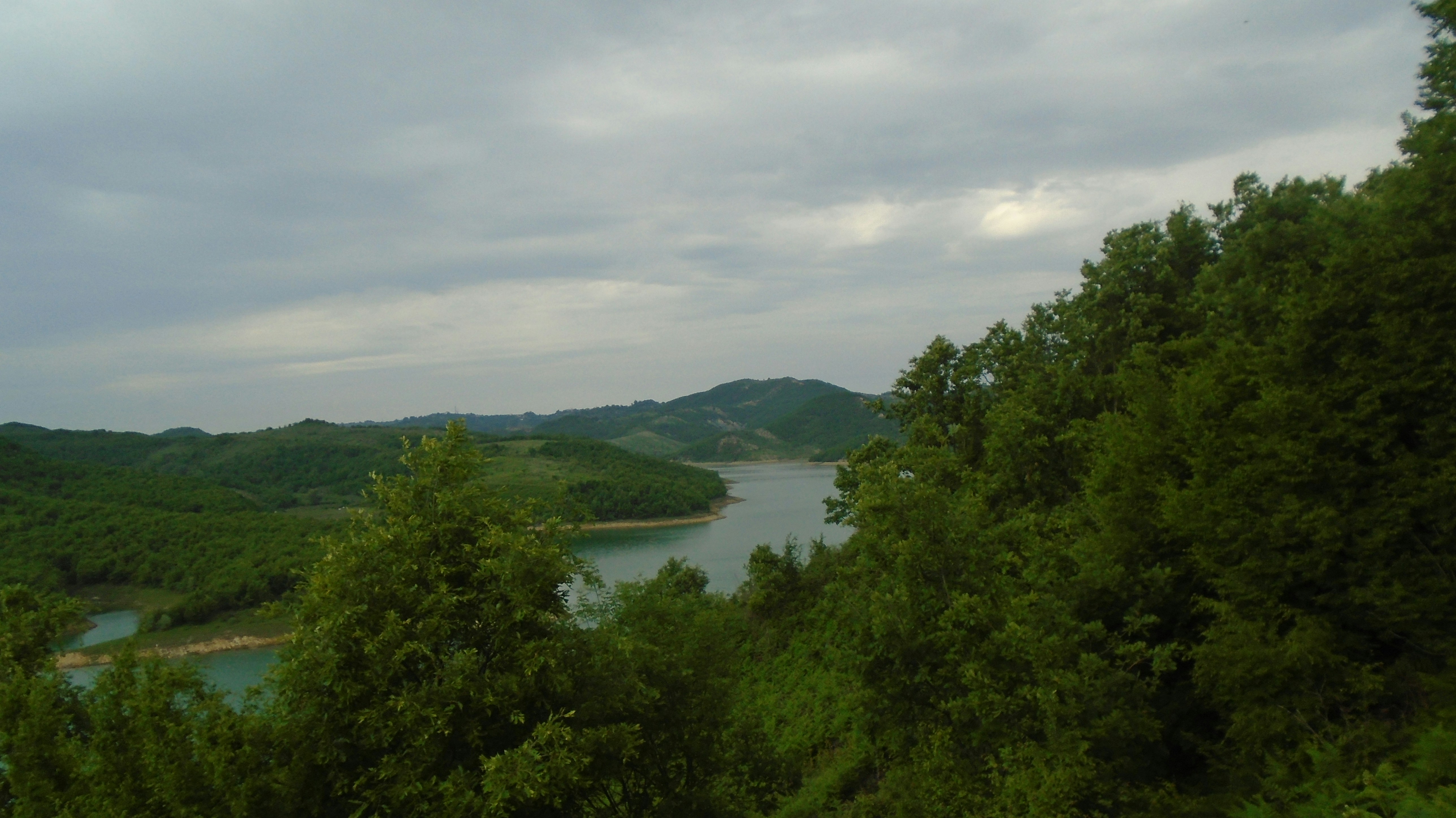 Photograph of a forested valley with a winding river looping between green hills beneath an overcast sky.