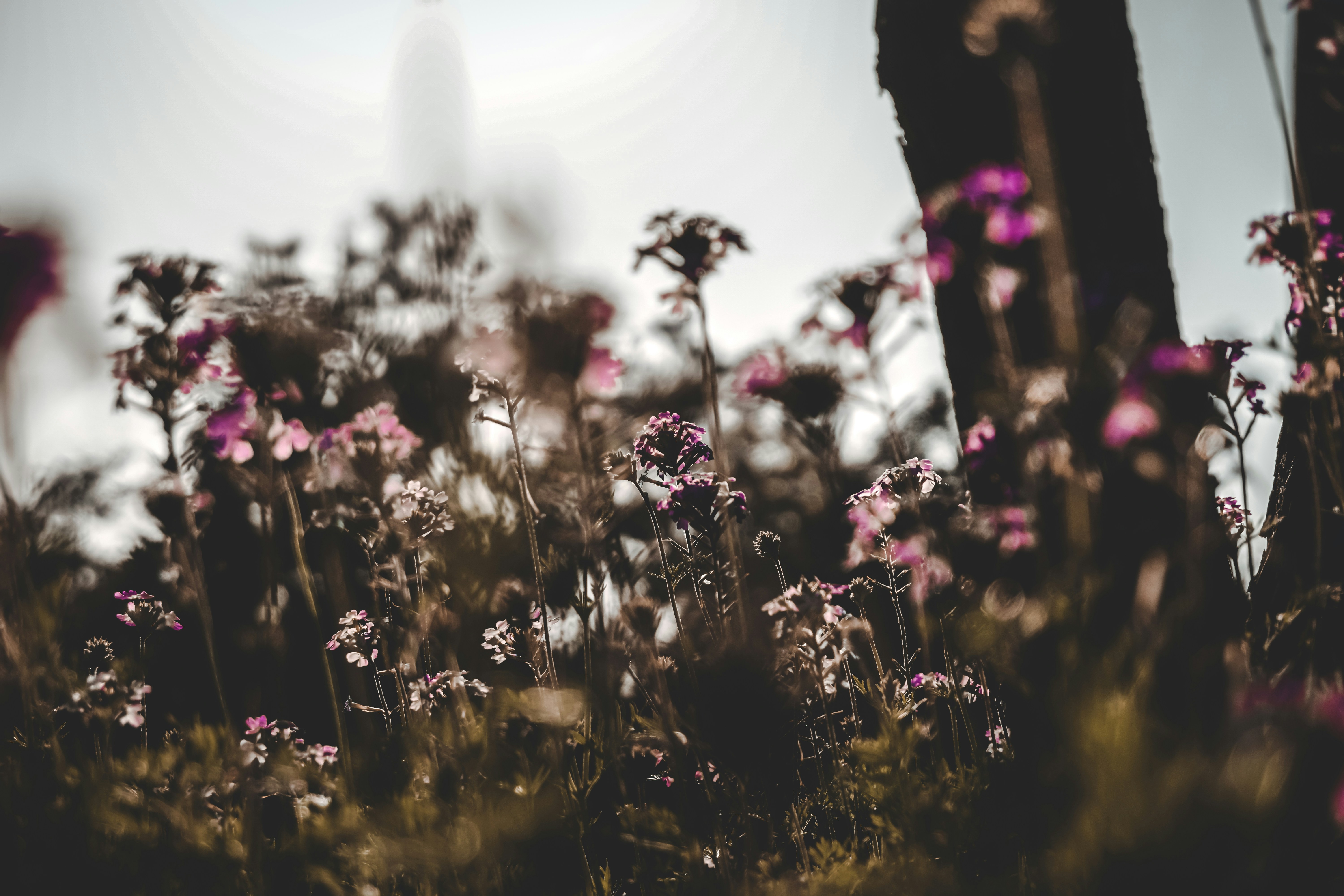 Kartik Prajapati (@kaaaaaaaaaaartik) | Komunitas Foto Unsplash