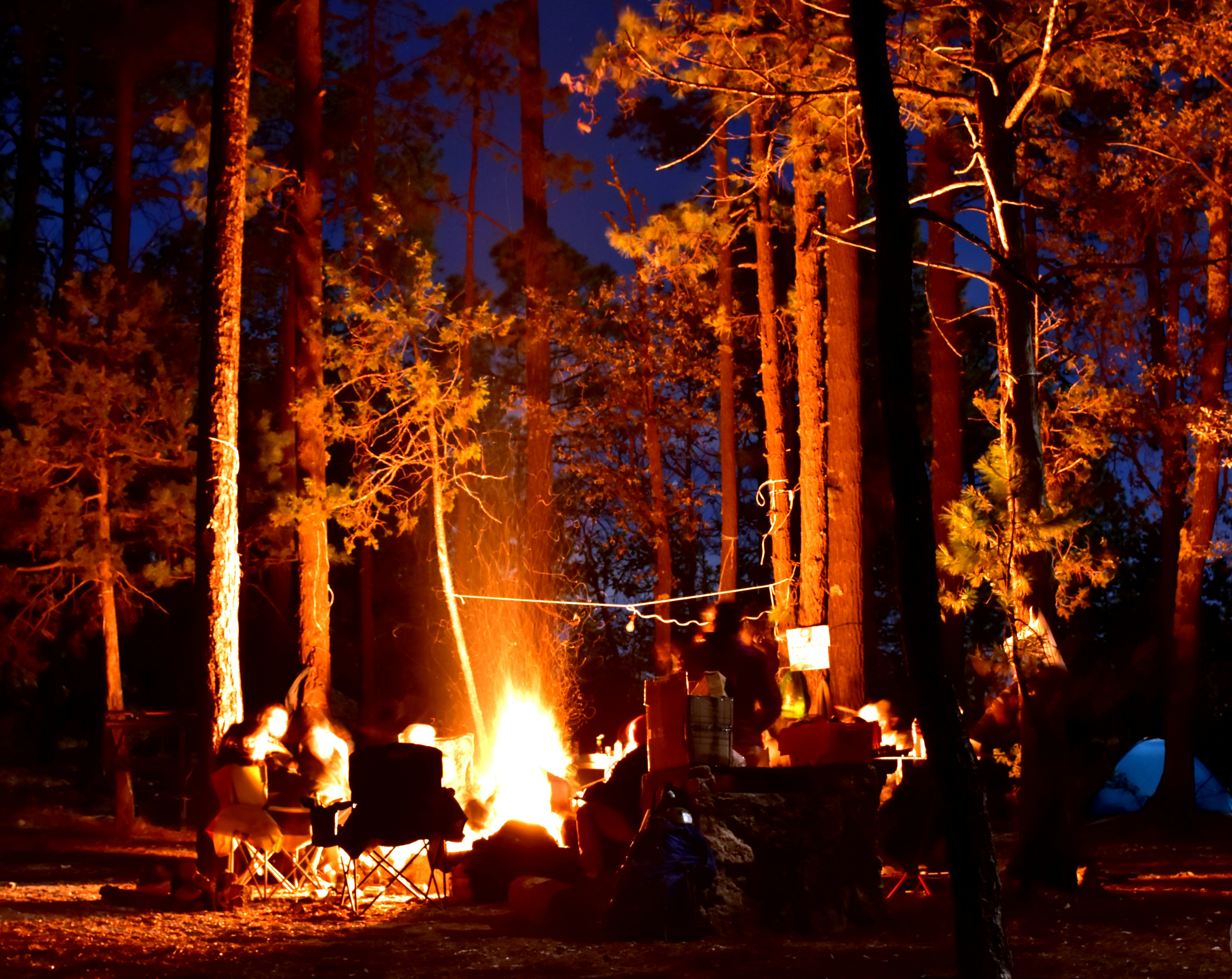 Bonfire near trees during nighttime photo – Free Fire Image on Unsplash