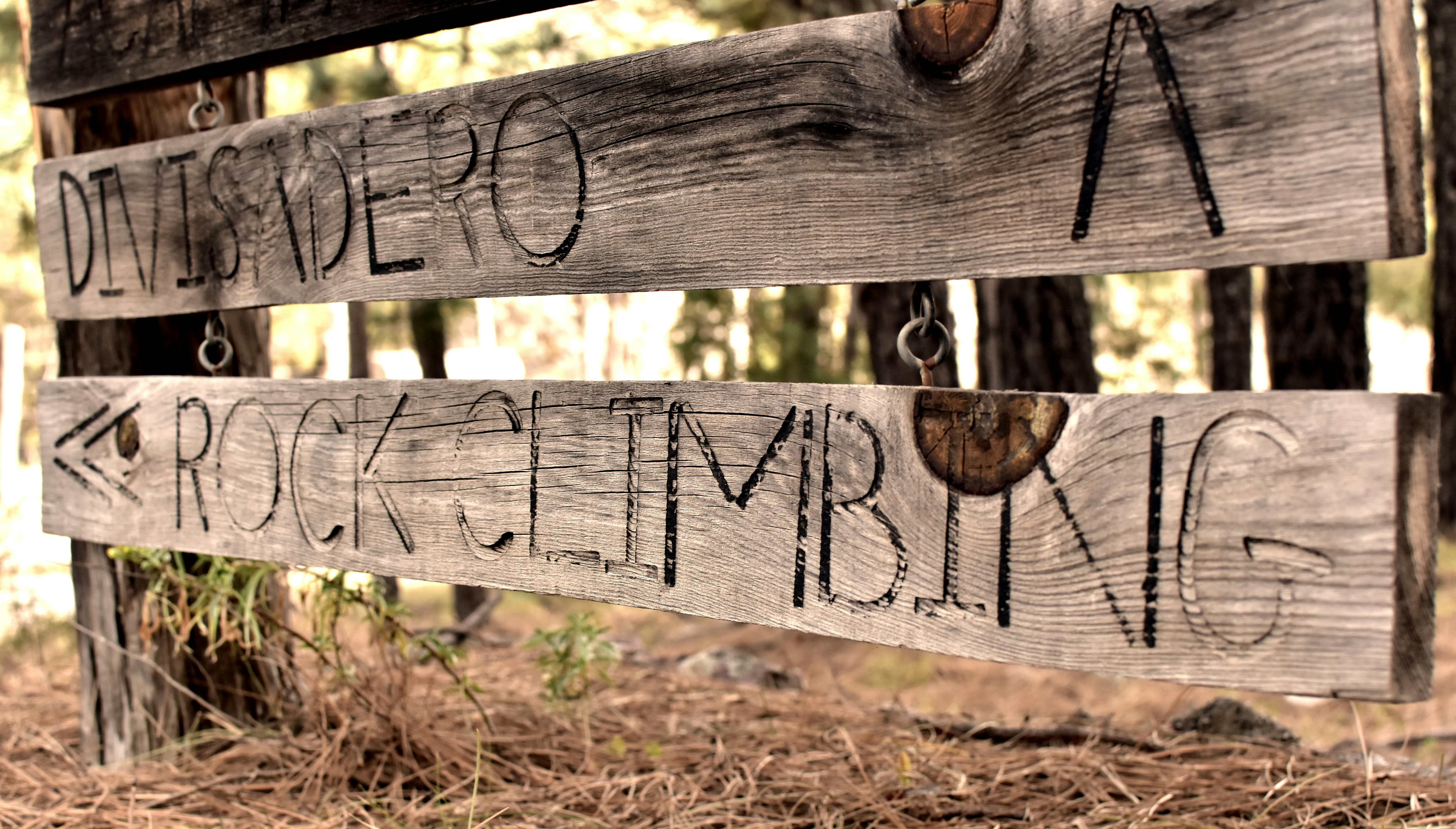 Weathered Signposts Point Toward the Quiet Path