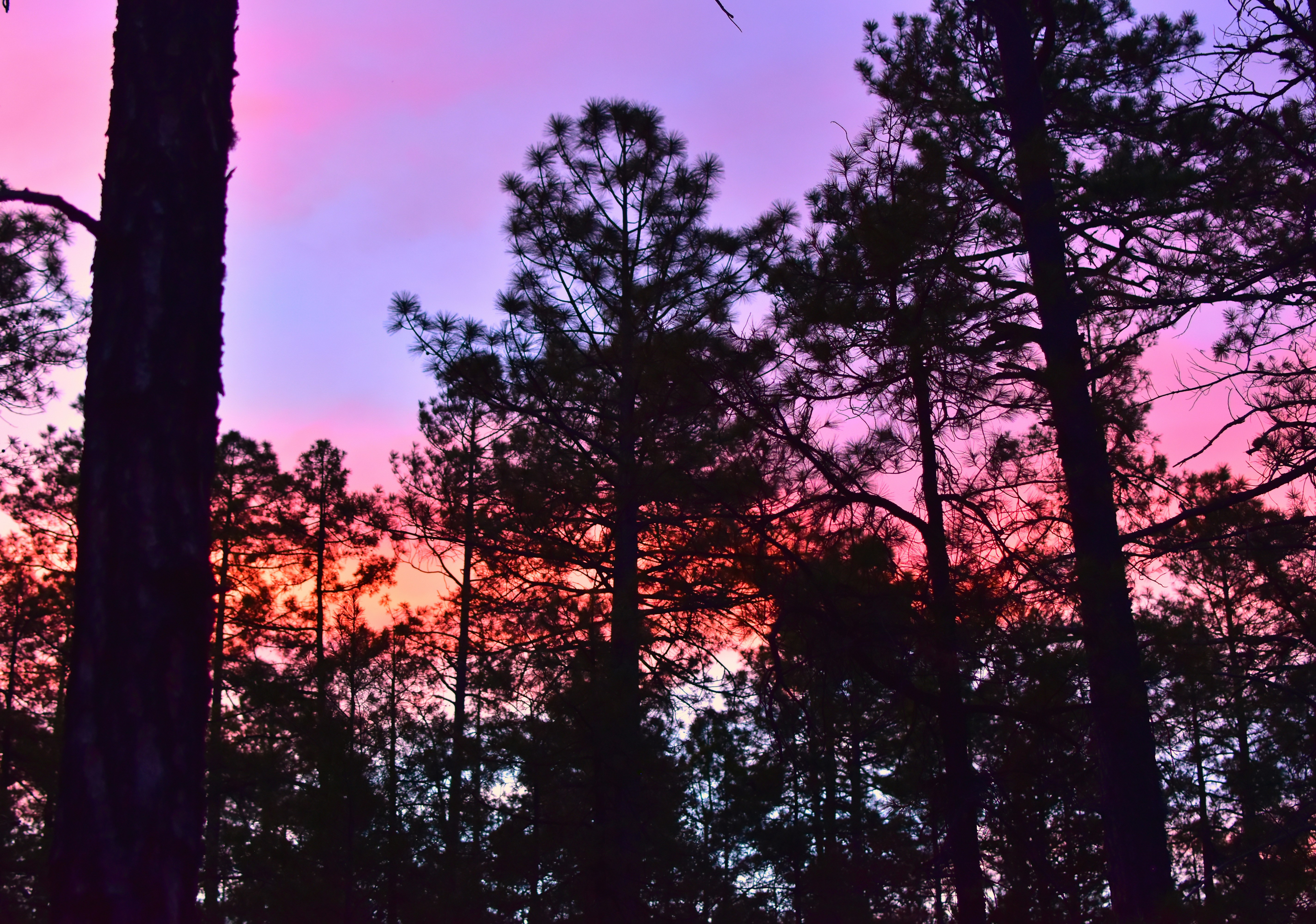 Stoner Photography Tumblr