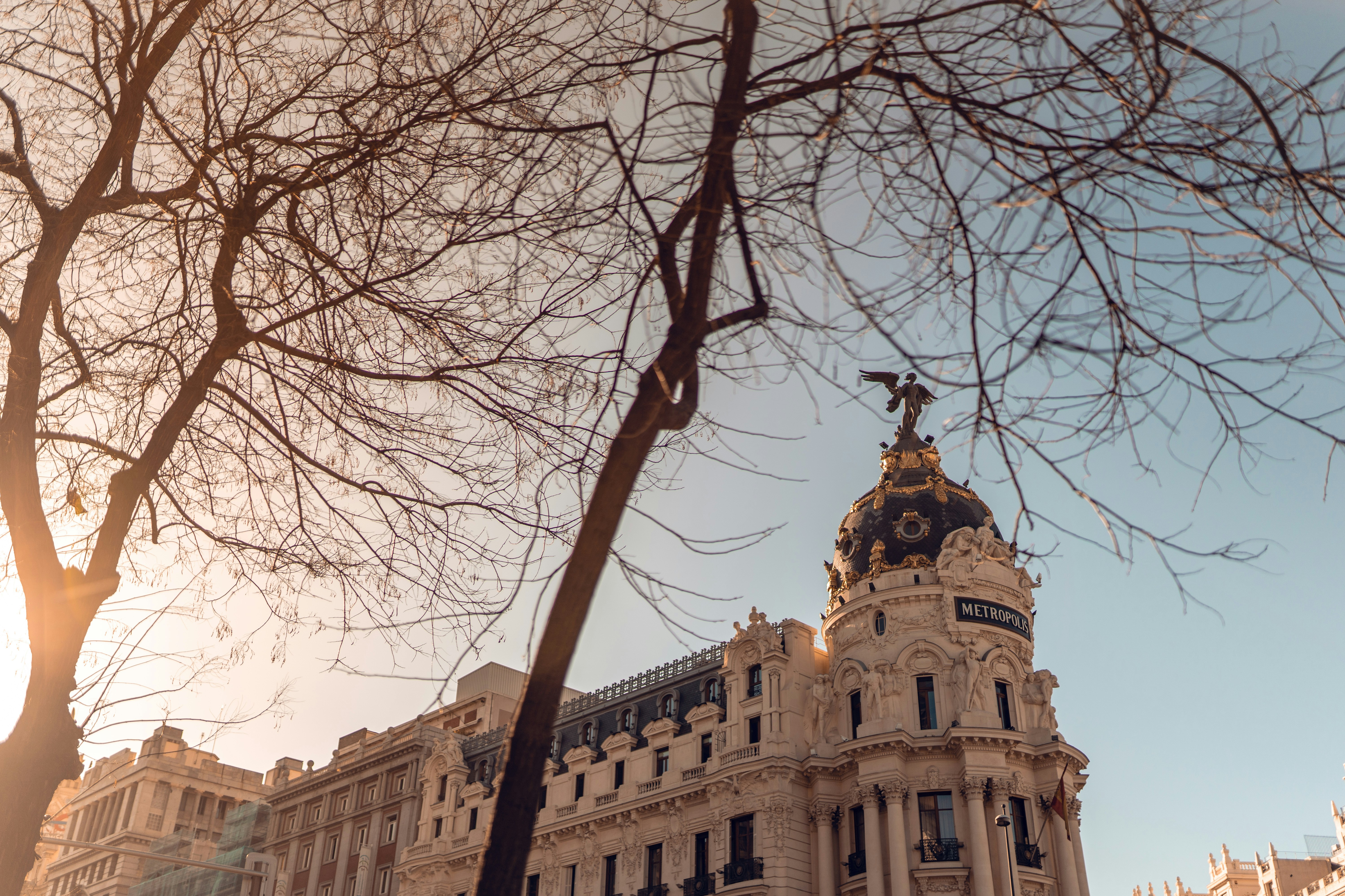 Elegant historic building under a clear blue sky framed by bare tree branches.