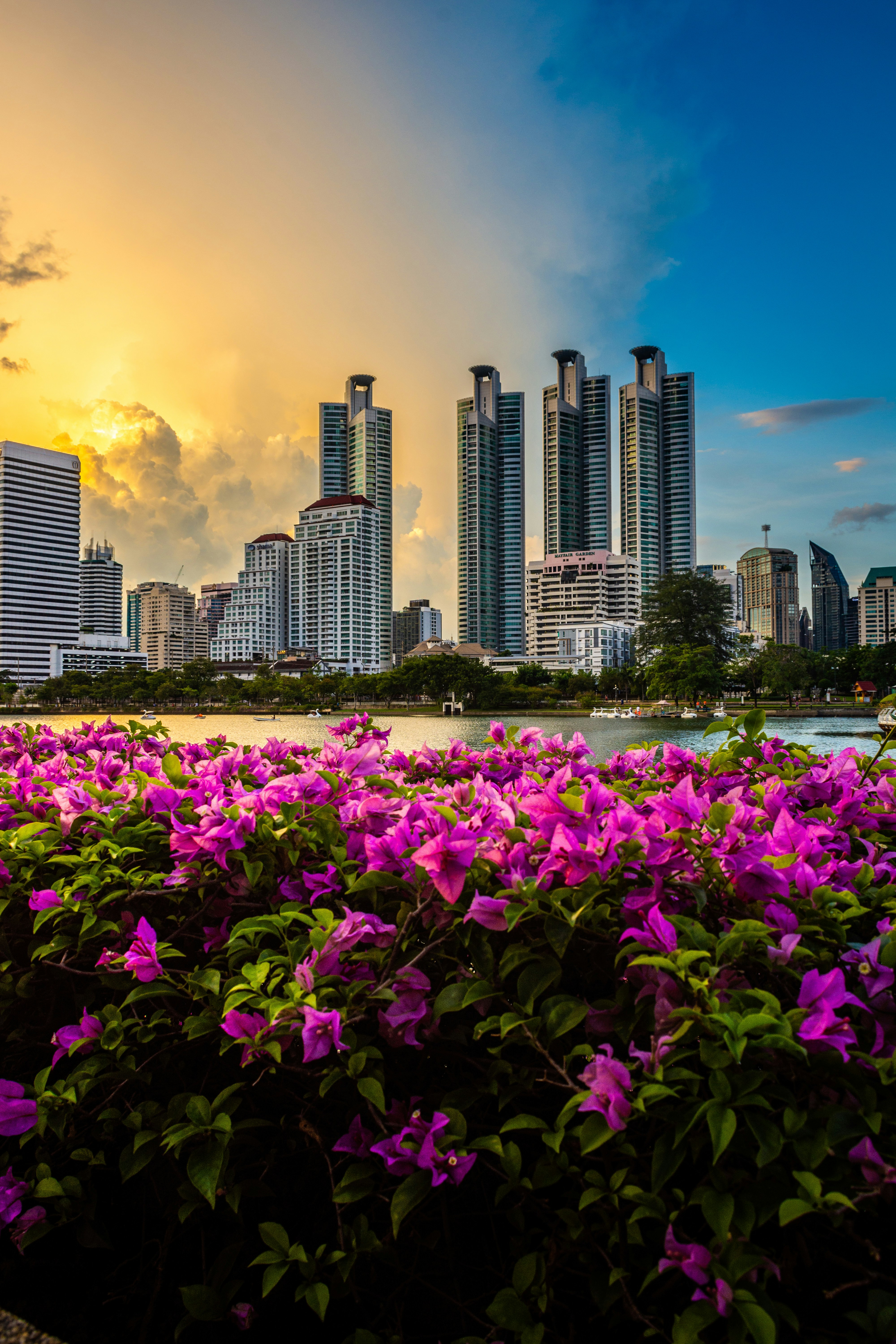 buildings near body of water