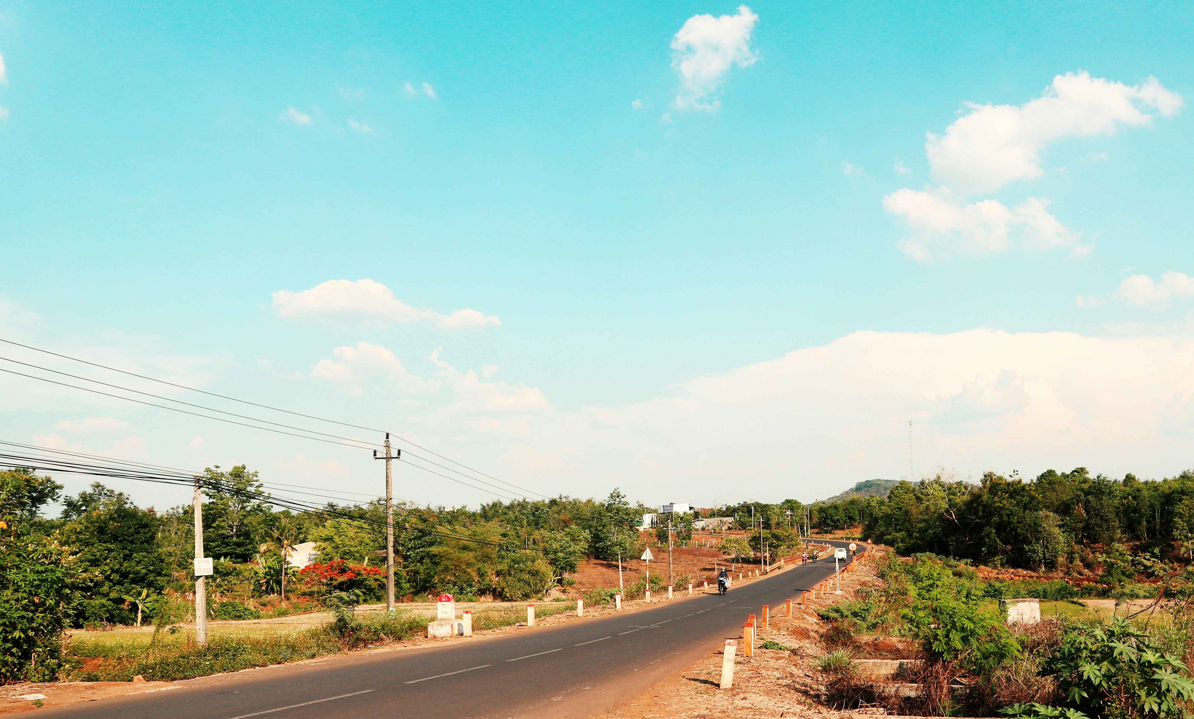 Curved rural road lined with lush greenery under a bright blue sky, inviting exploration. 