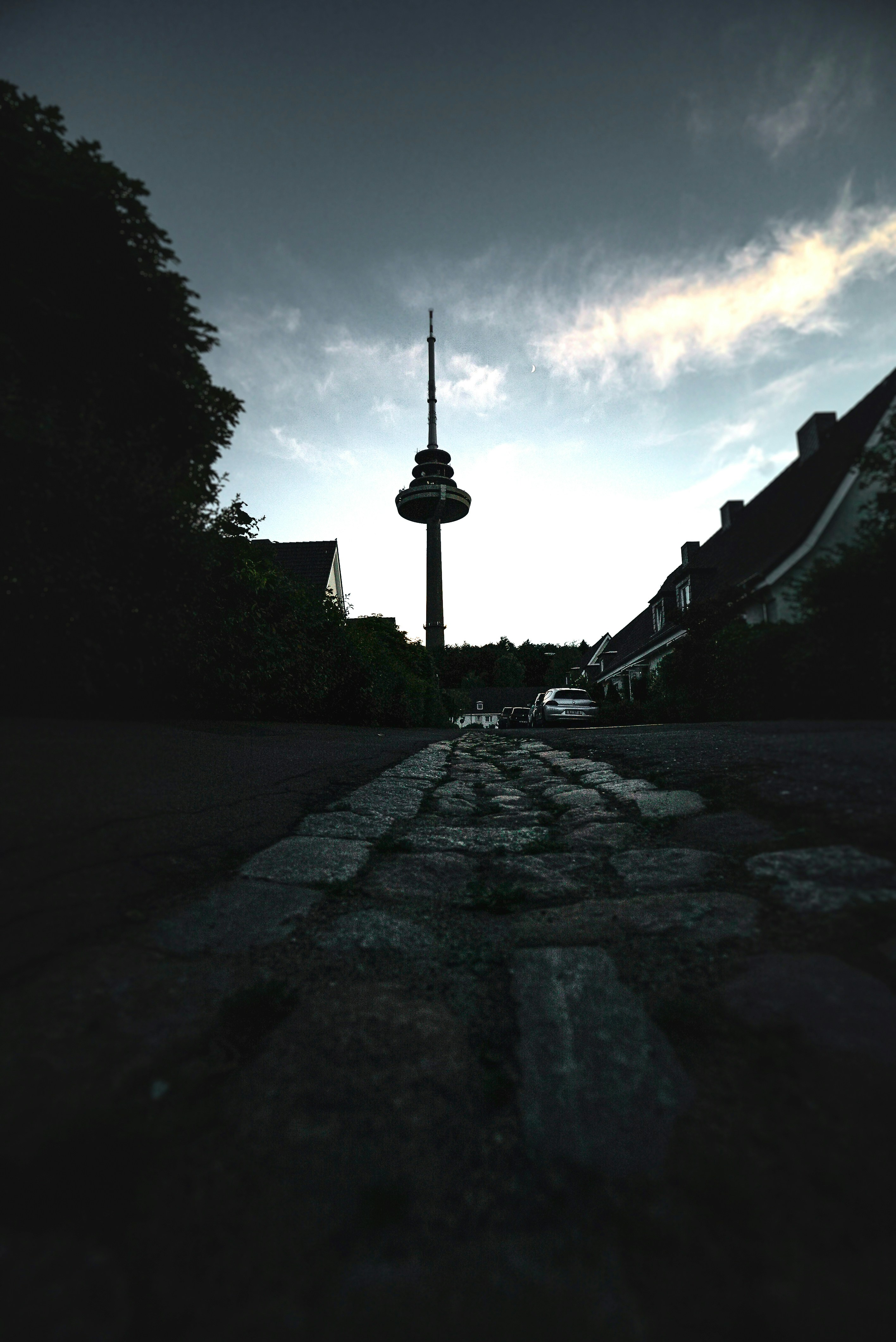 Towering Presence Amidst Urban Silhouettes