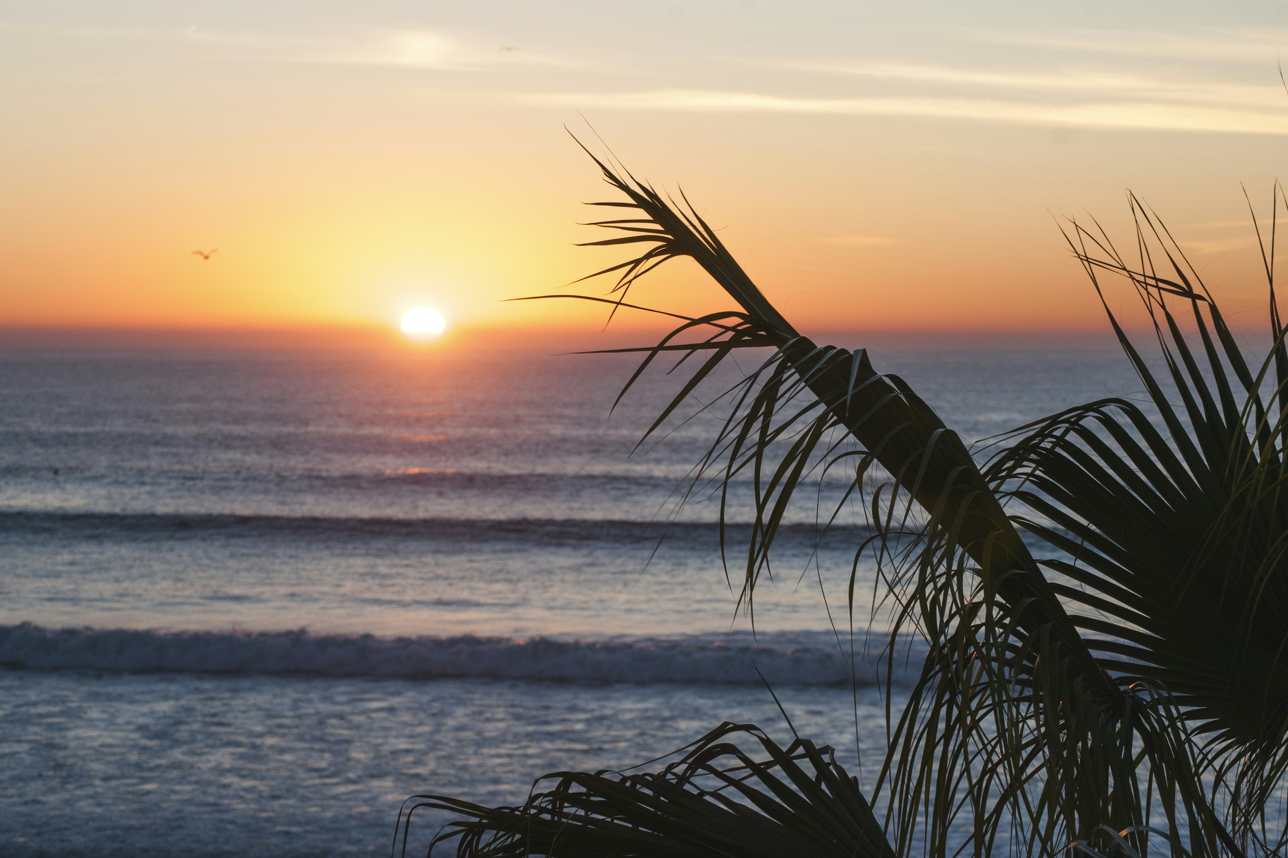 Osean Pictures | Download Free Images on Unsplash