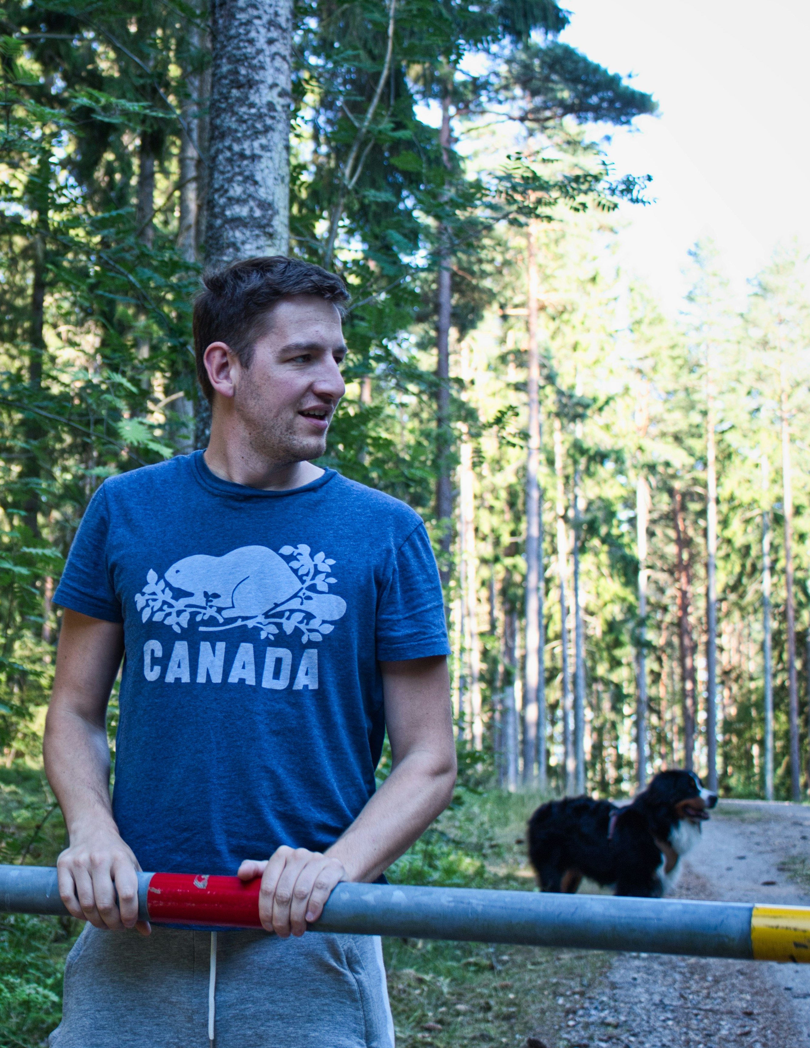 A man in a blue shirt stands by a barrier in a forest, with a dog visible in the background. The scene captures a serene moment in nature.