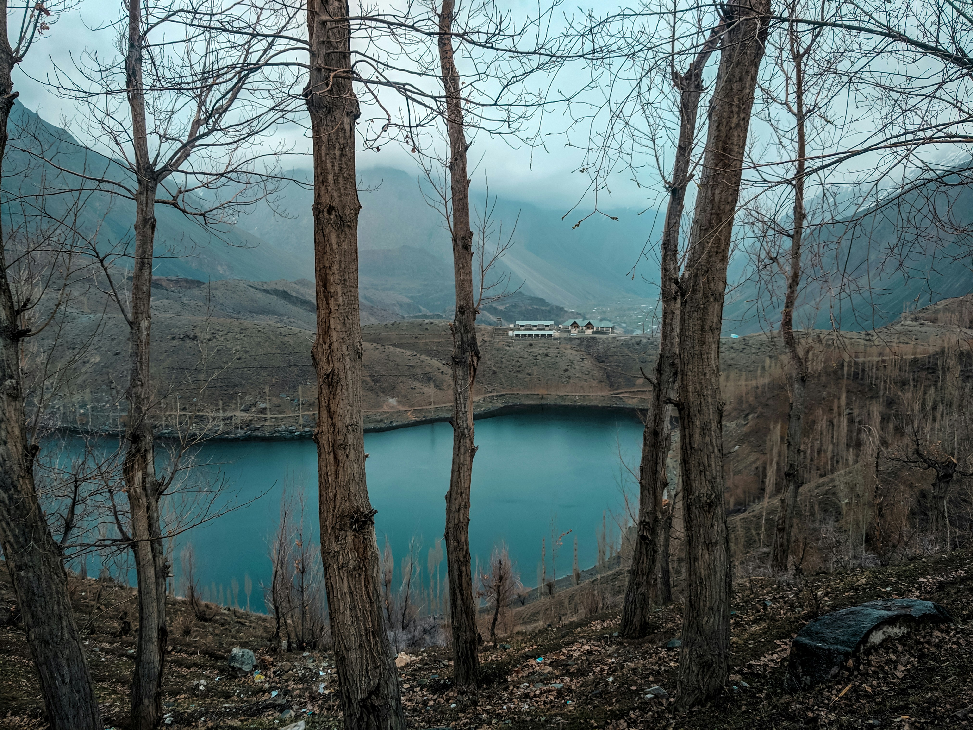 Leafless trees frame a tranquil lake nestled between misty mountains.