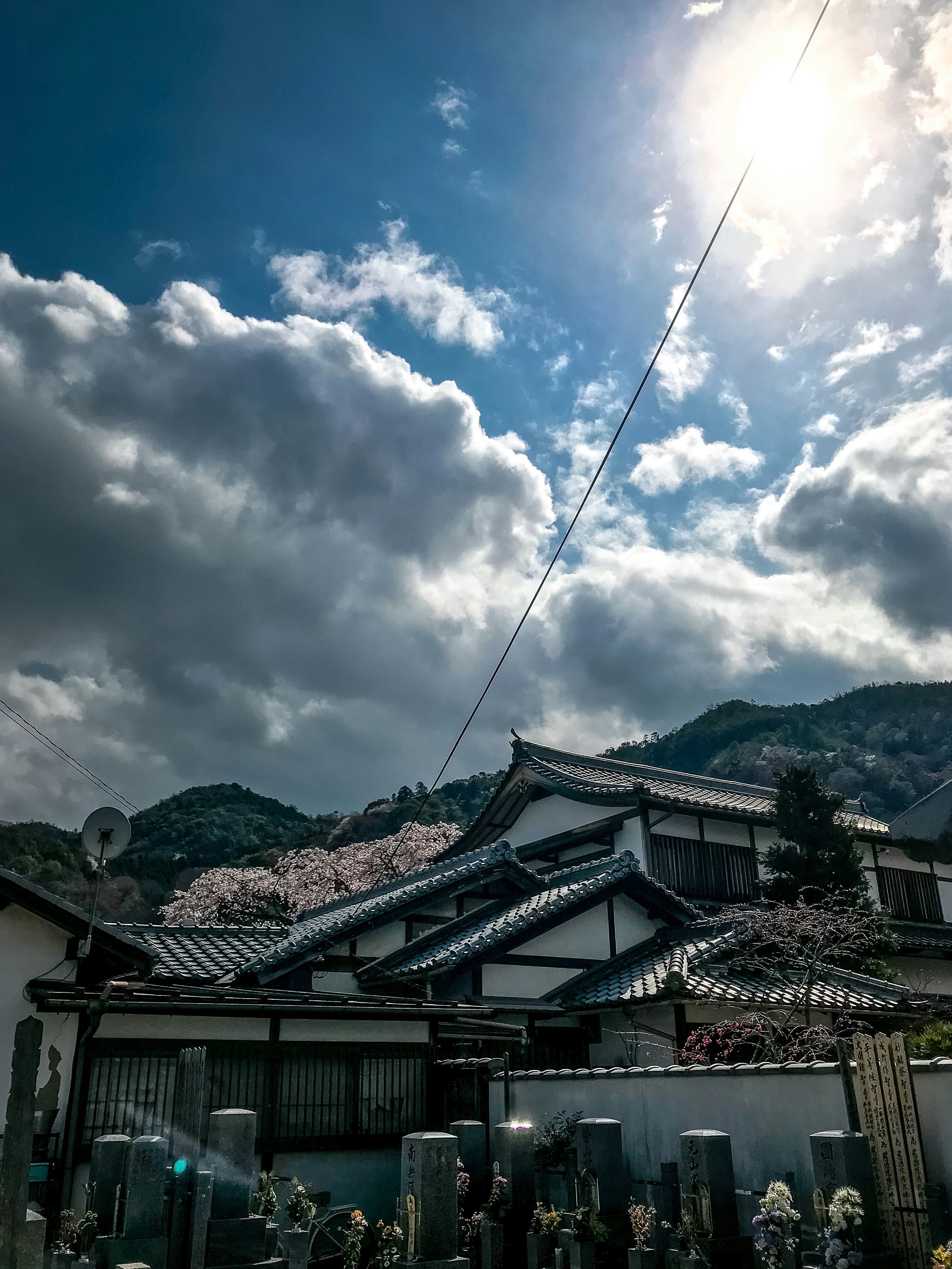Cherry Blossoms and Traditional Roofs Beneath a Sunny Sky