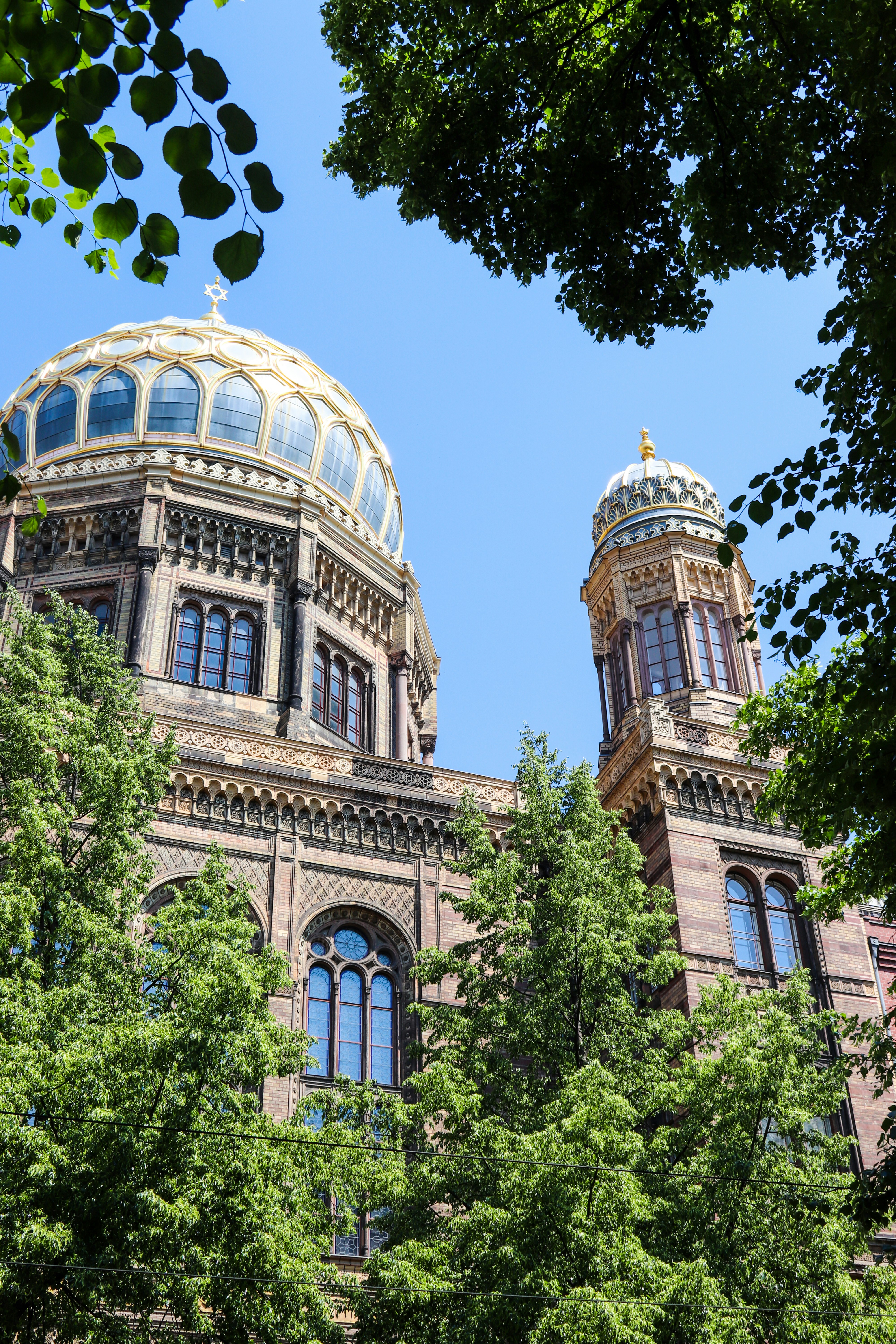 Sunlit Dome Over Brick Cathedral Framed by Verdant Canopy