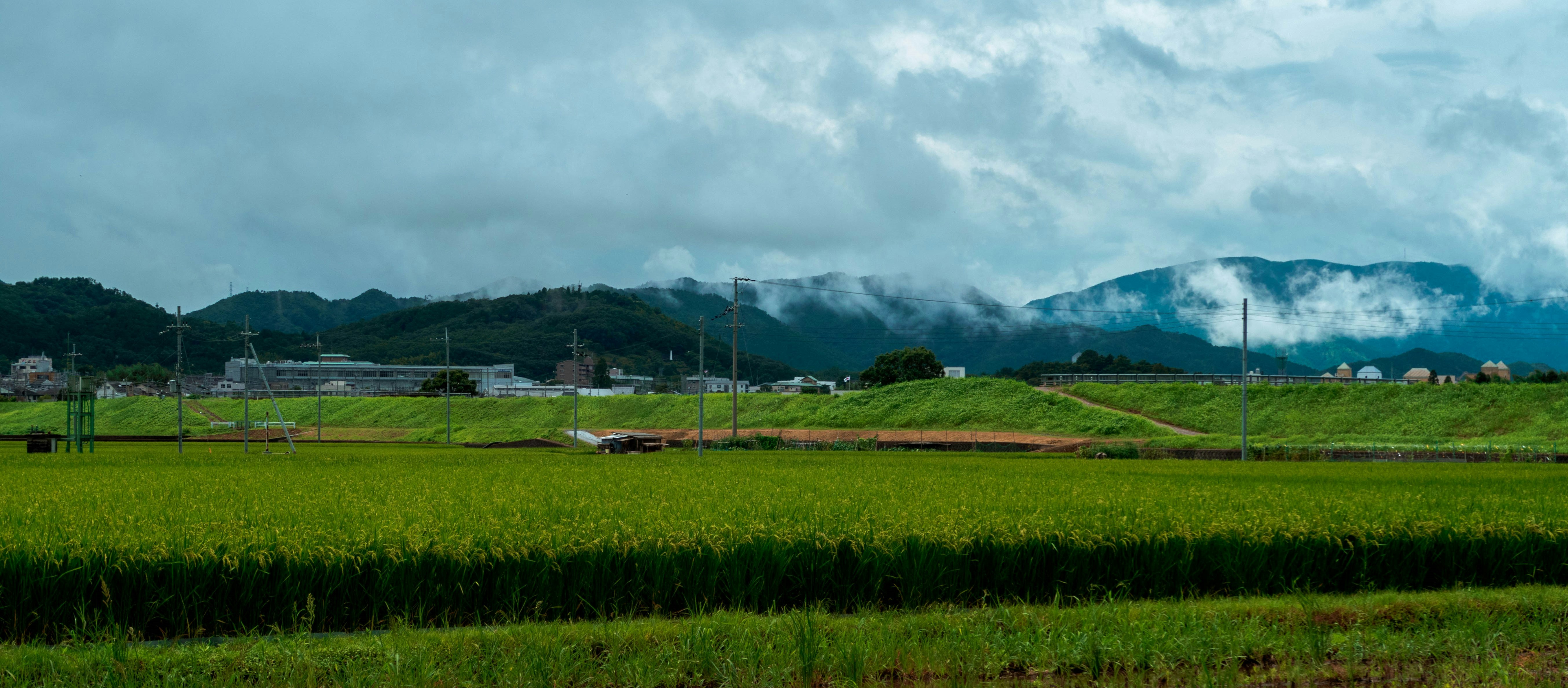 Vibrant green rice fields stretch across the landscape, framed by distant mountains shrouded in clouds. The scene captures the tranquility of rural life.