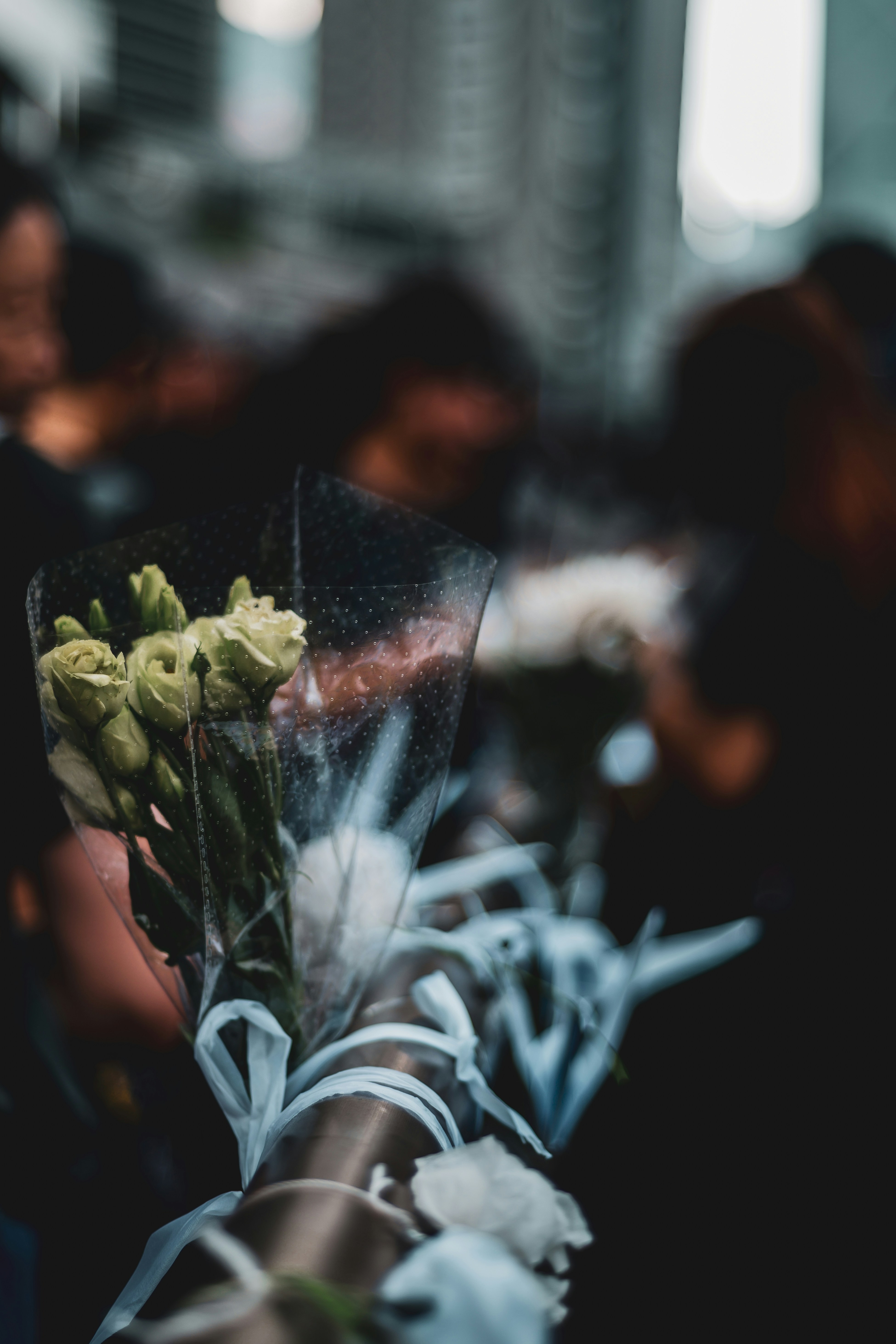 750+ Respect Pictures [HD] | Download Free Images on Unsplash