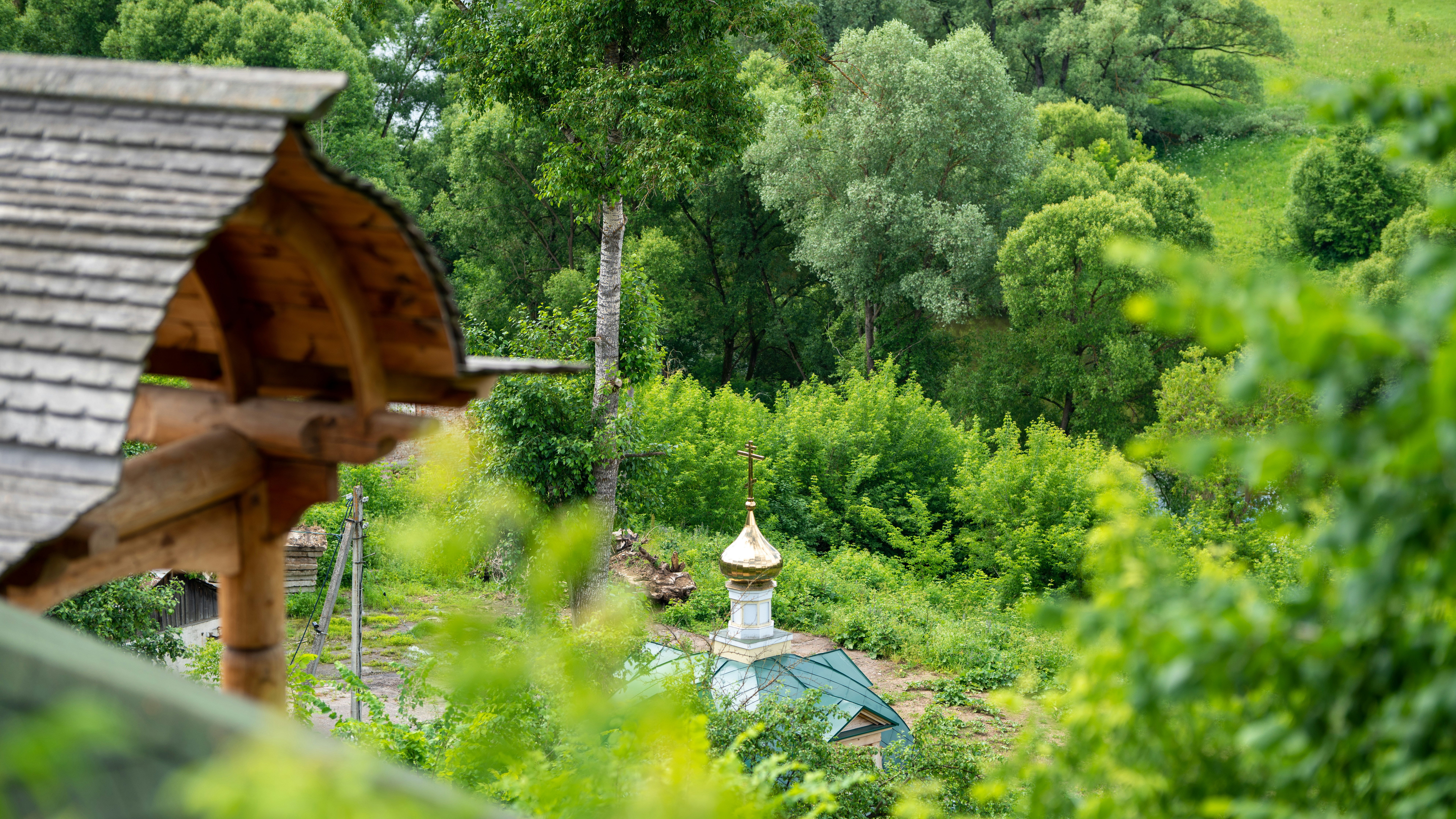 Photo by Arseny Togulev with Sony Alpha 7R III