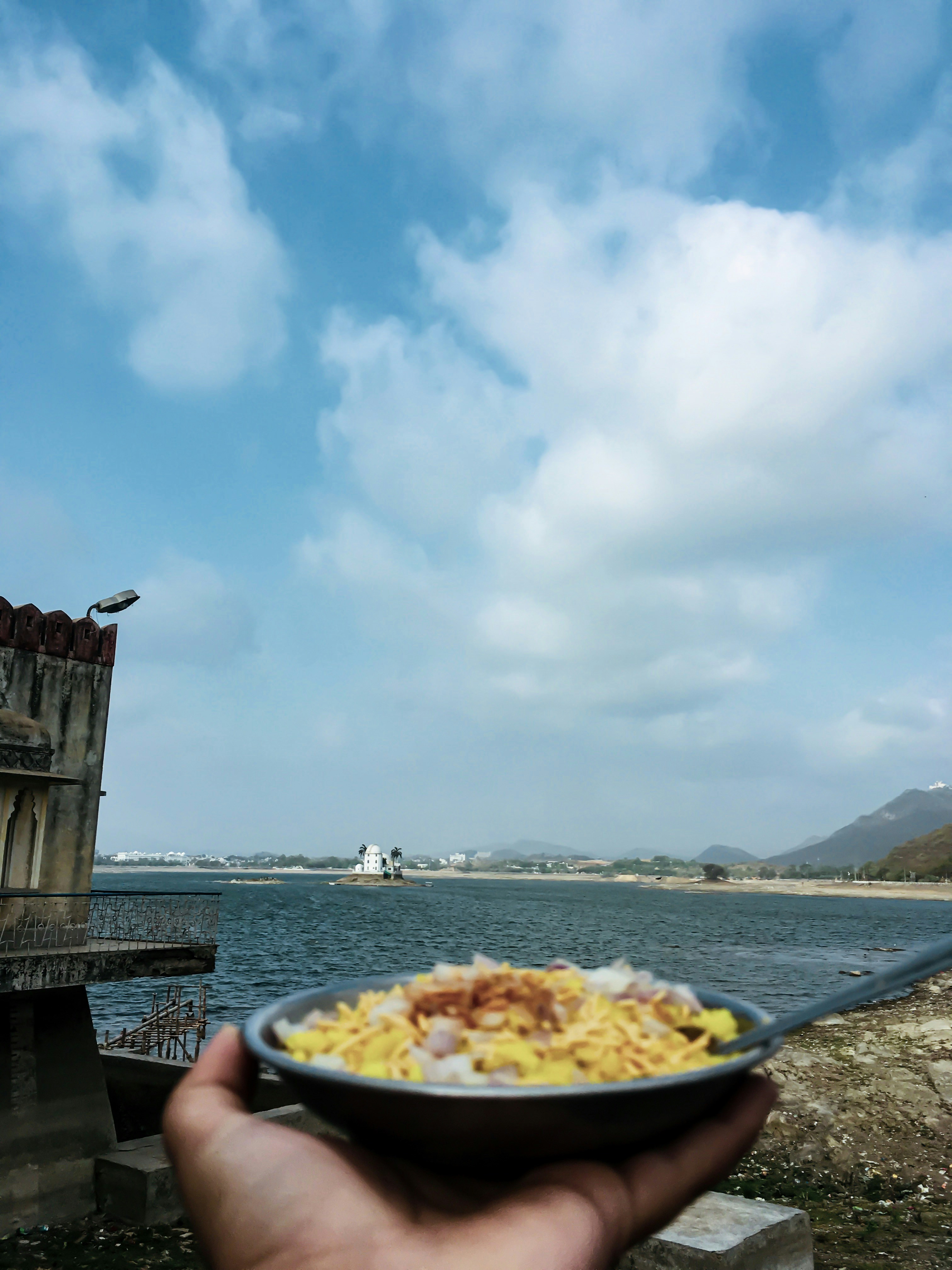 rice bowl