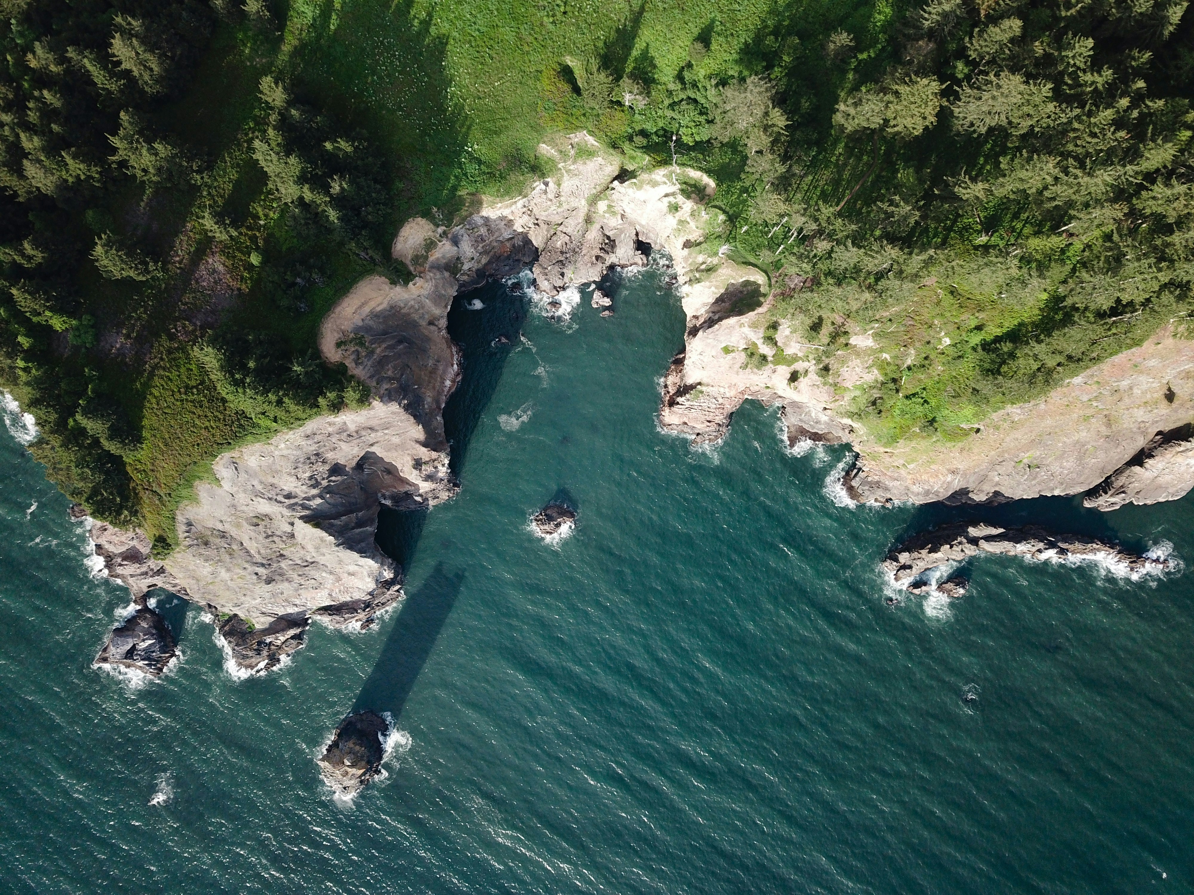 Turquoise Inlet: Rugged Rocks Fringing a Pine Coastline