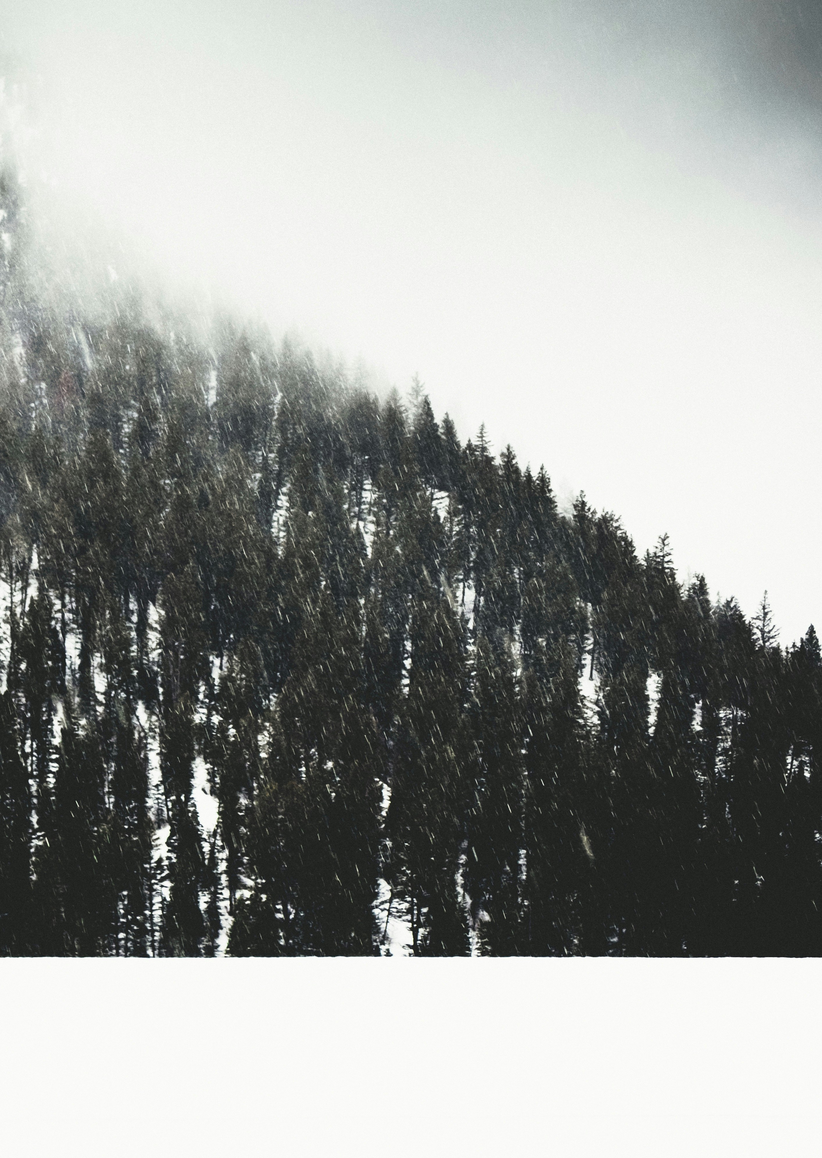 Peyton Morris (@morripey) | Komunitas Foto Unsplash