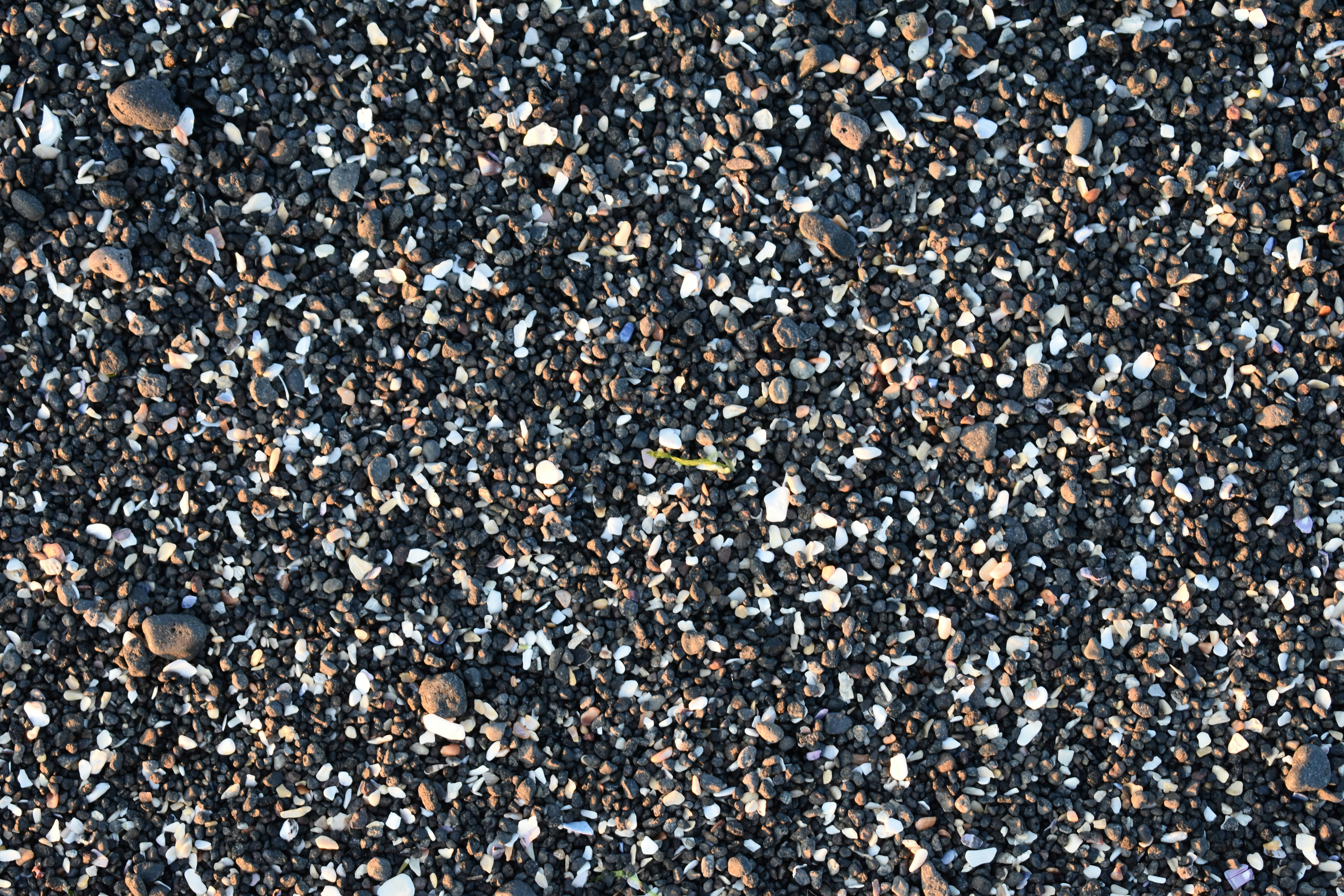 A close-up view of a diverse array of small pebbles and stones, showcasing various colors and textures on a sandy surface.