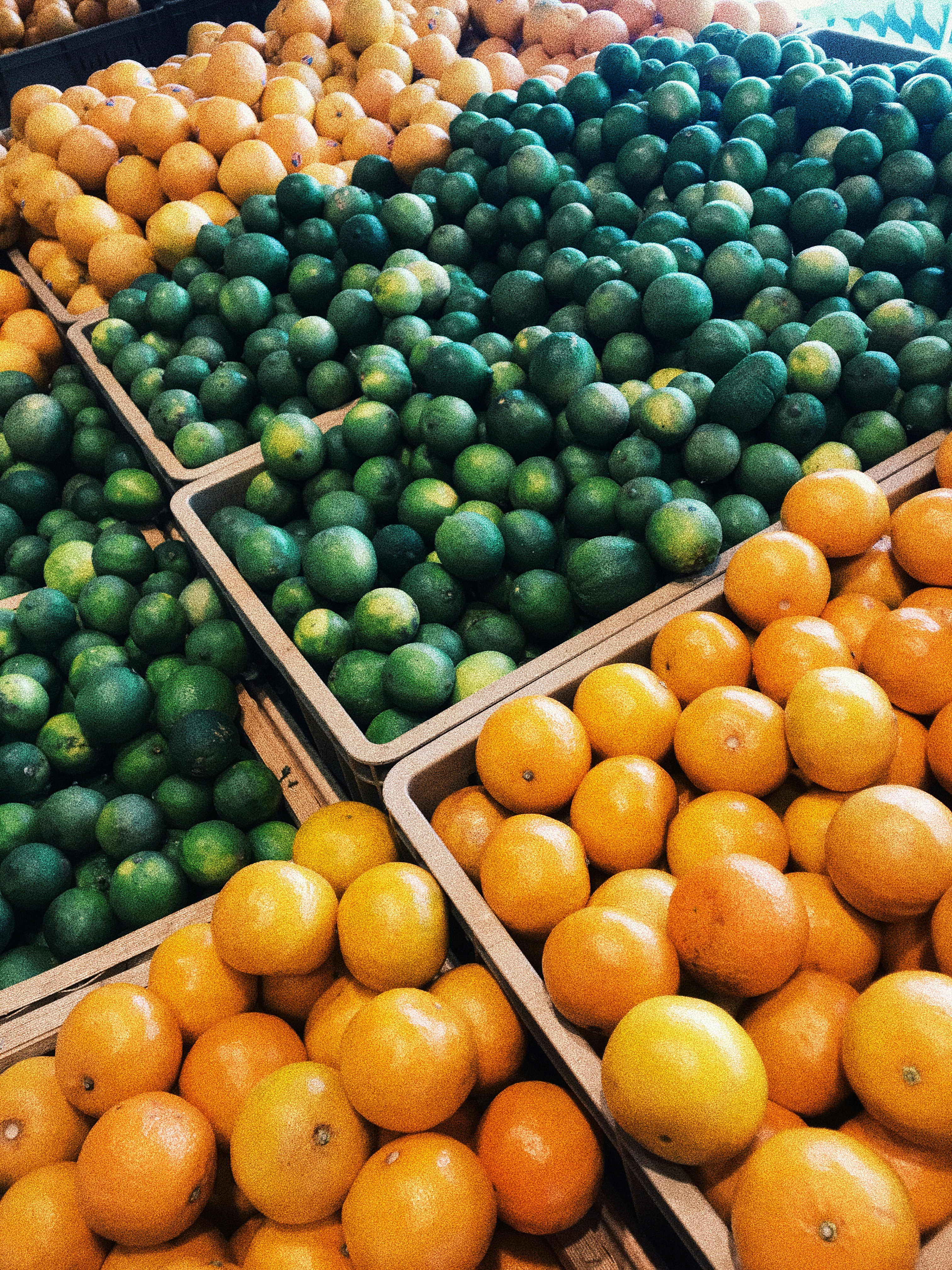 Vibrant assortment of oranges and limes arranged in wooden crates at a market. The fresh produce showcases a rich palette of greens and yellows.
