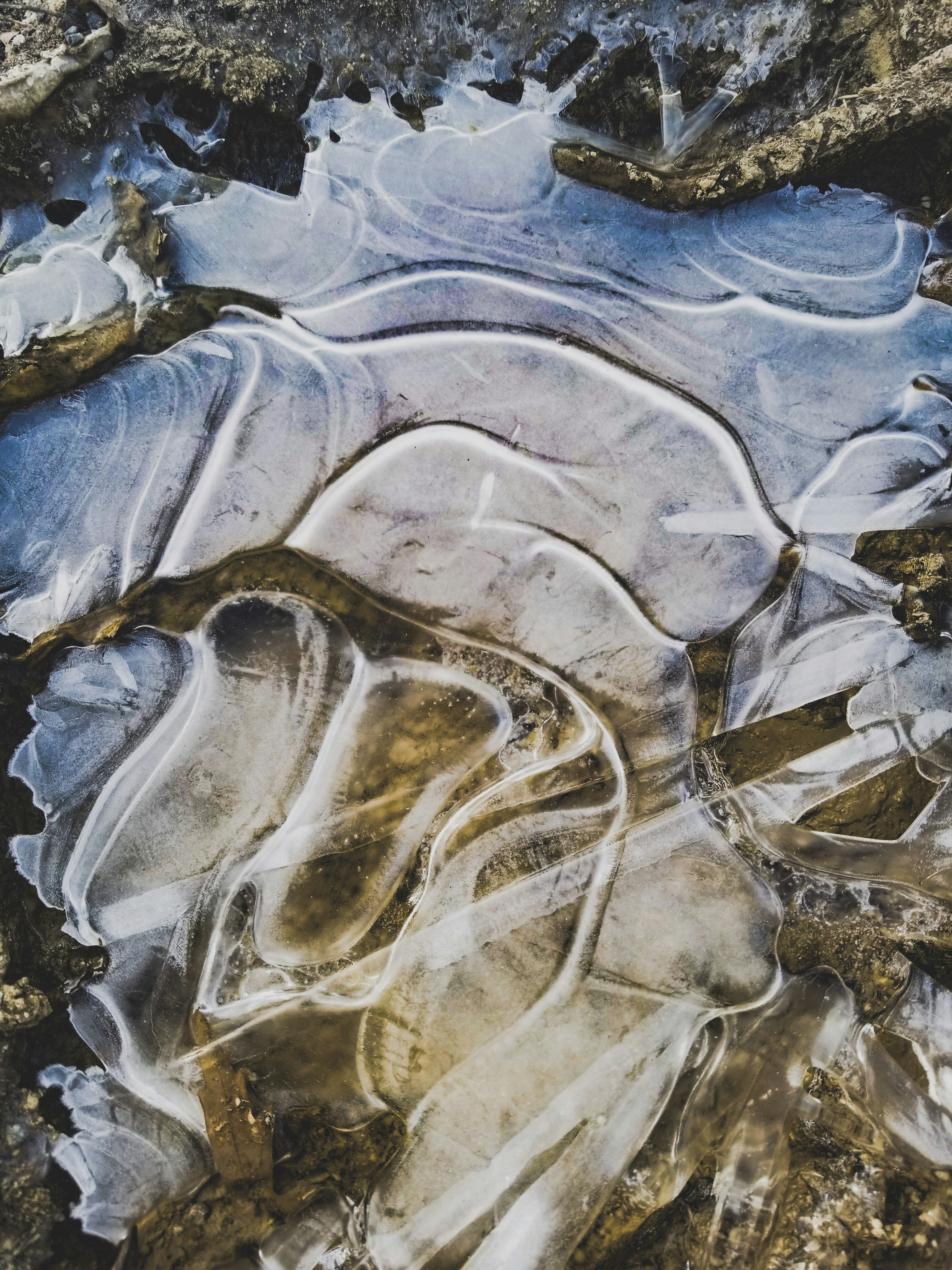 Lacework on Shingle: Sinuous Ice Carvings in Tide-Washed Stone