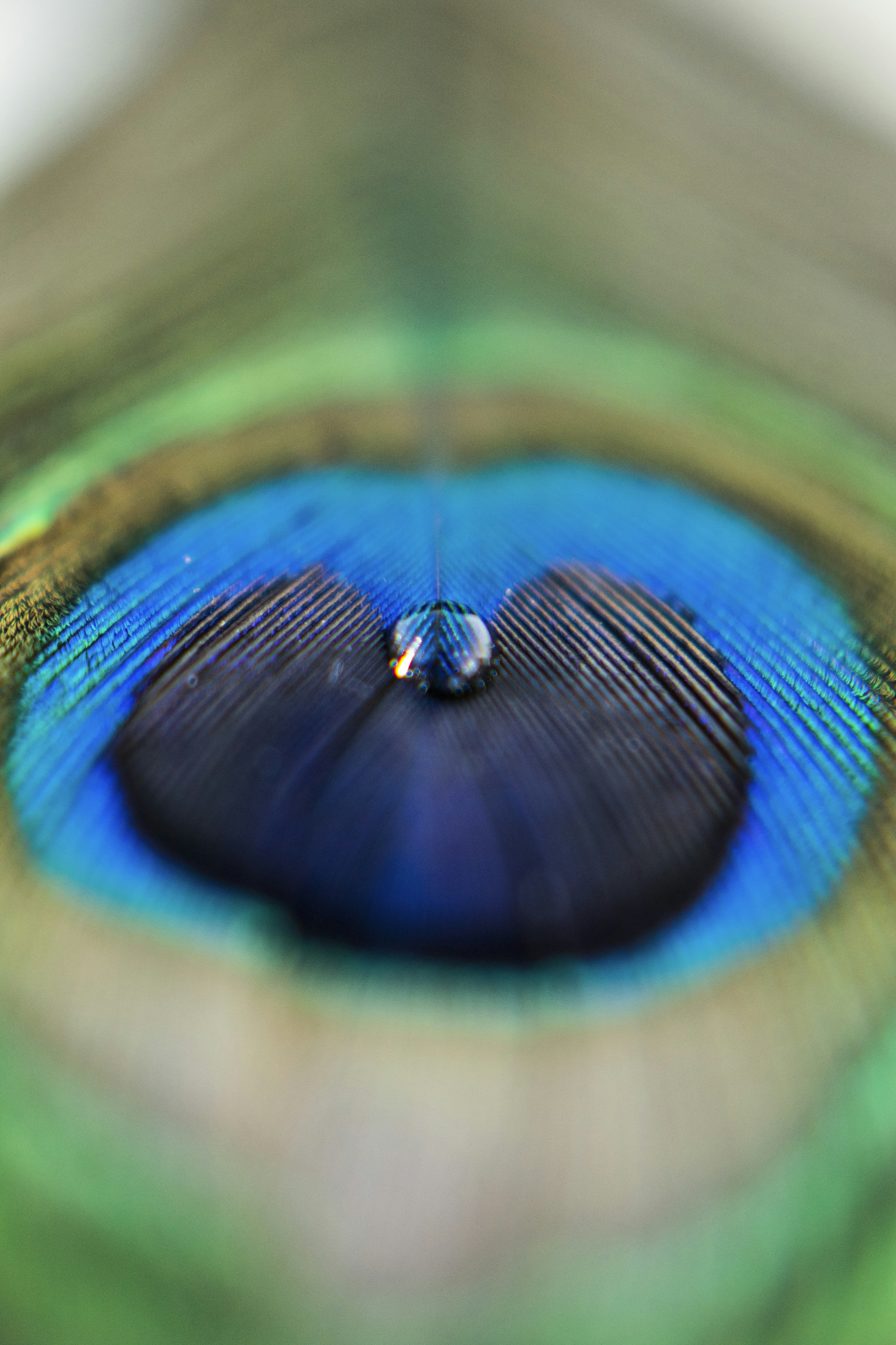I love to do micro photography. Because show the perfect shape.