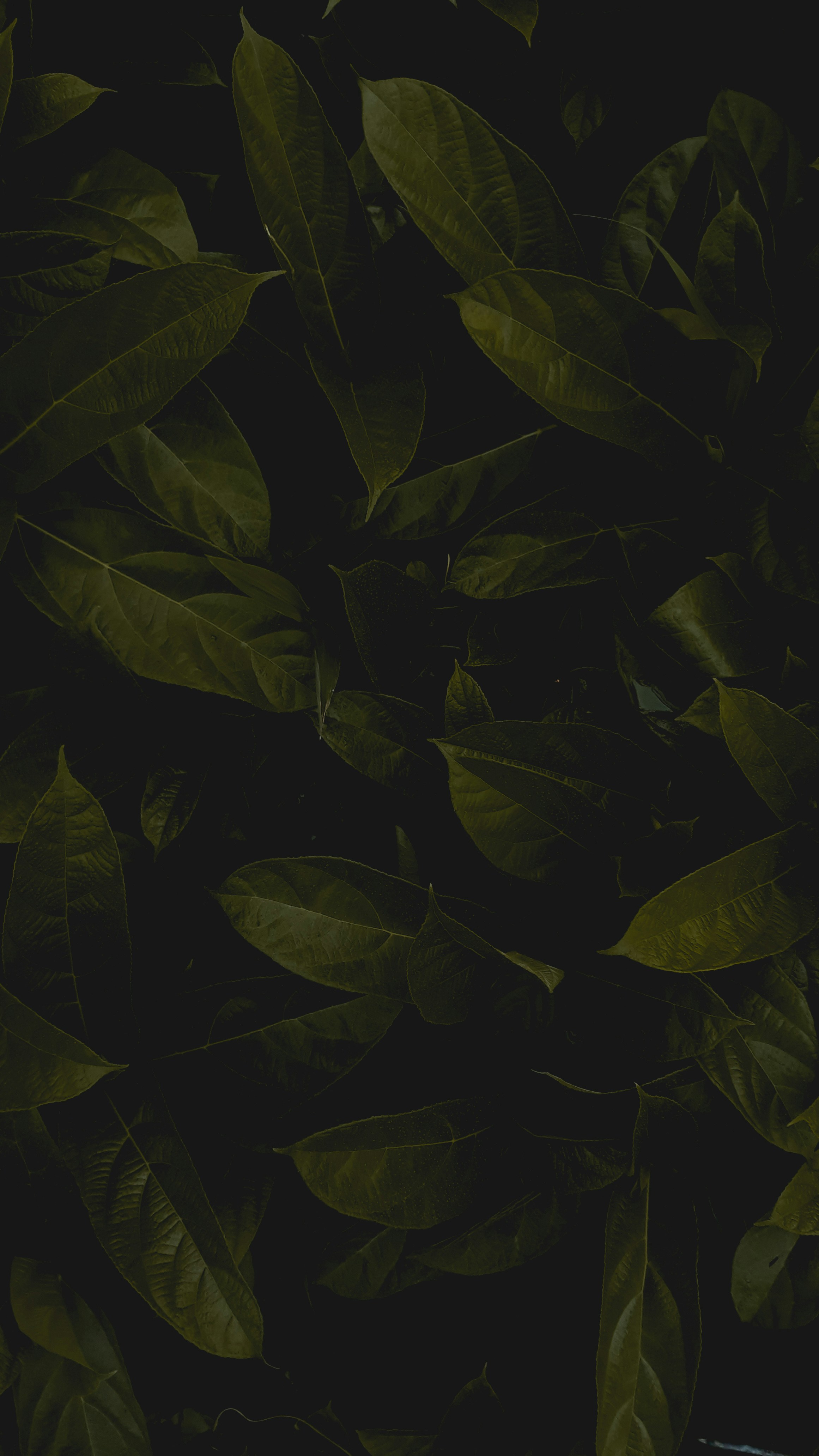 Sample photo from Samsung Galaxy J7 Pro