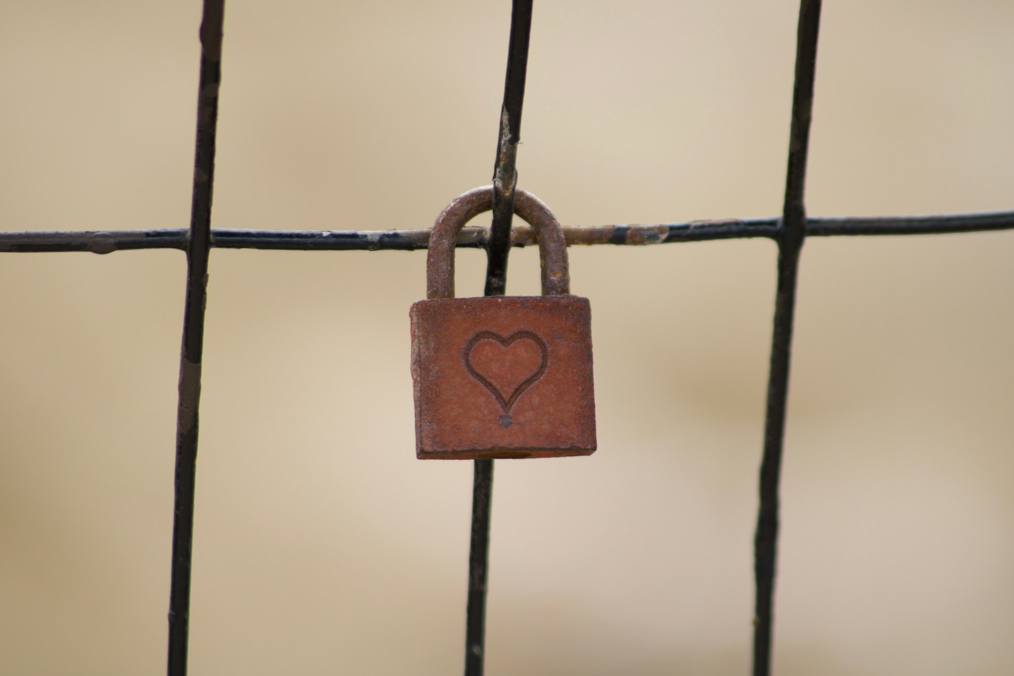 Your Thoughts Are Safe: How Life Note Protects Your Privacy with AES ... Your Thoughts Are Safe: How Life Note Protects Your Privacy with AES ...
