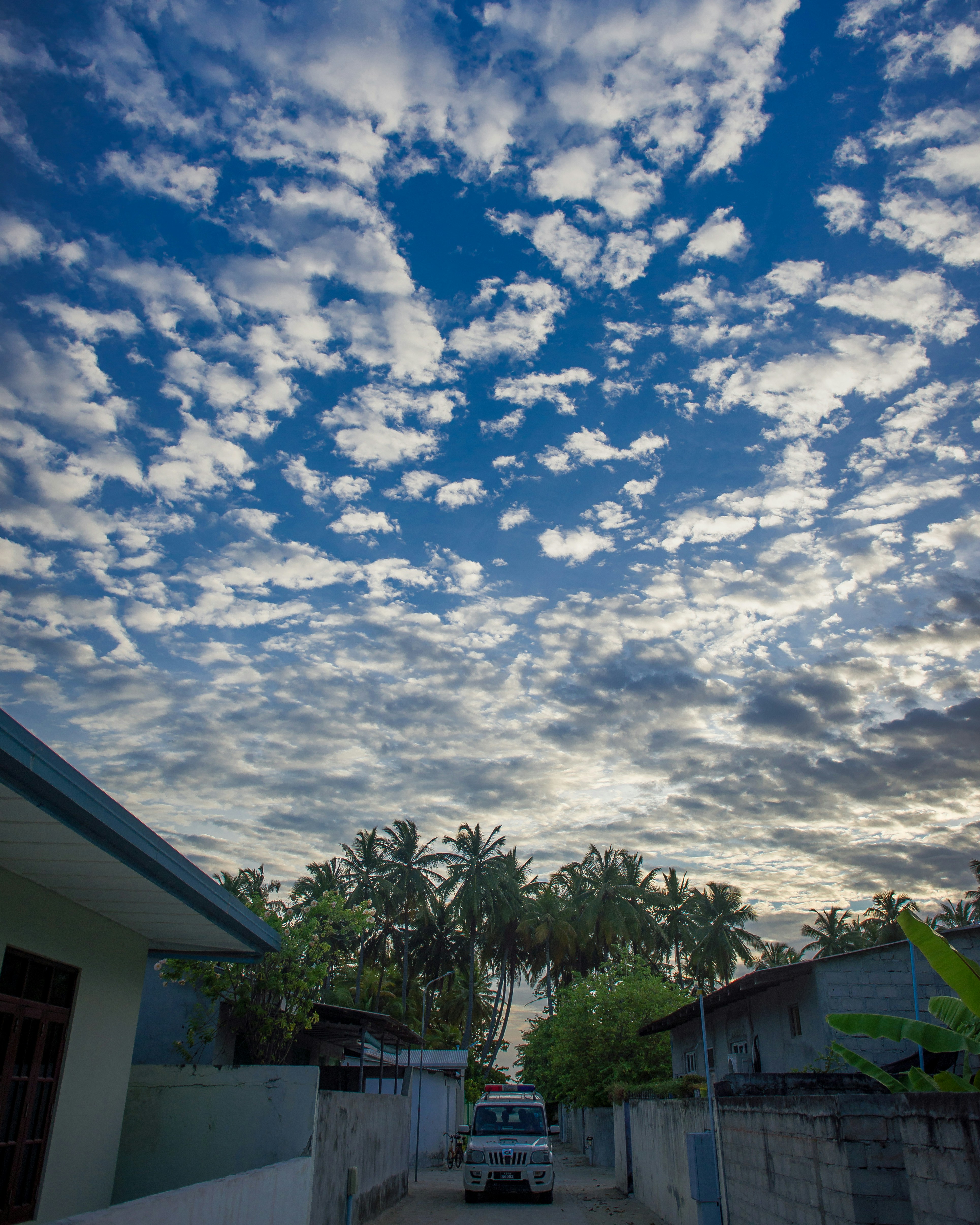 clear blue sky