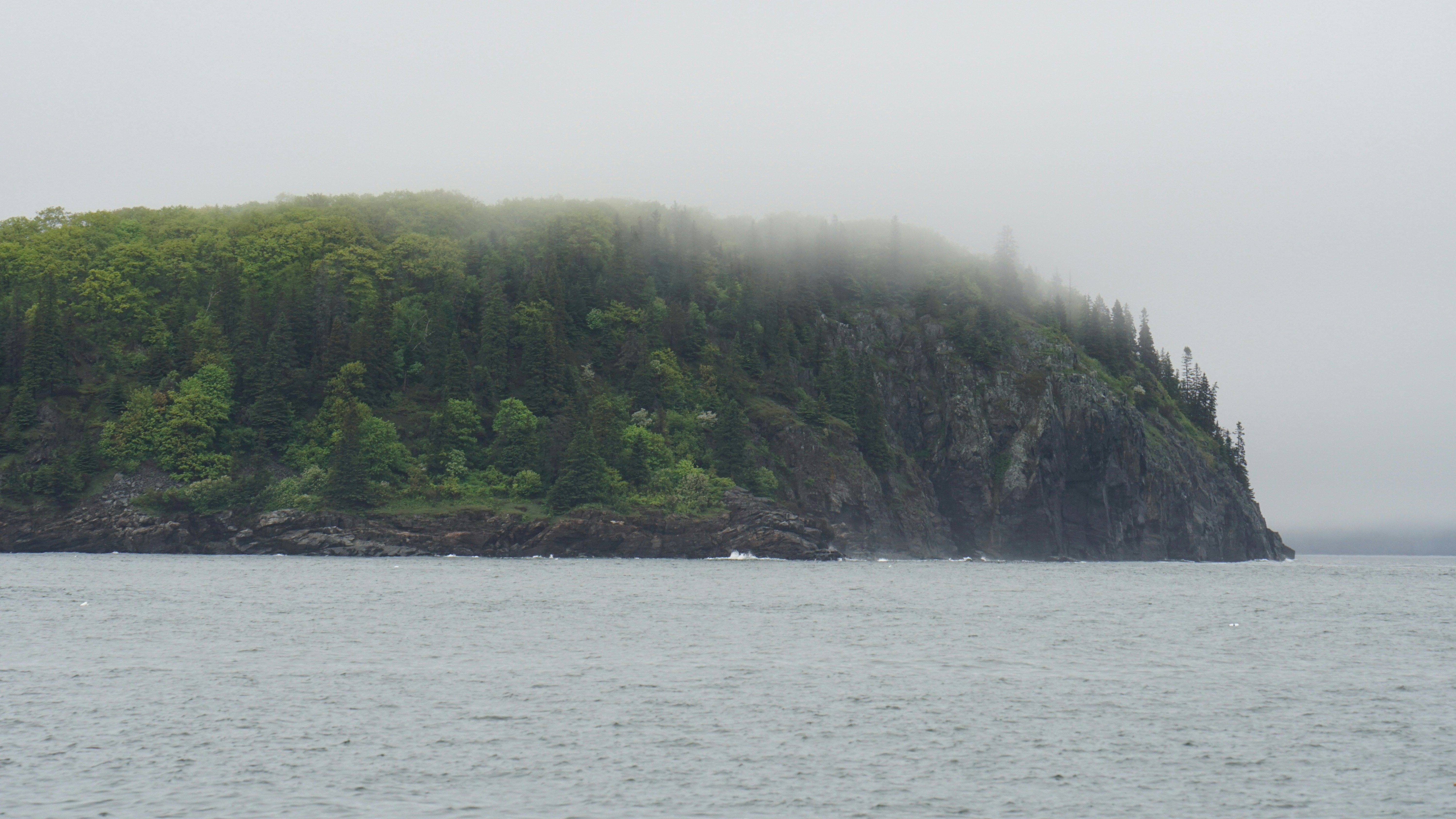 Misty coastal landscape featuring a lush green cliffside shrouded in fog, with gentle waves lapping at the rocky shoreline.