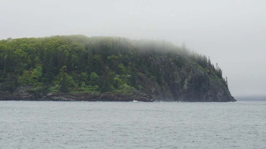 A forested rocky cliff rises from calm gray water, its treeline wrapped in low mist under an overcast sky.
