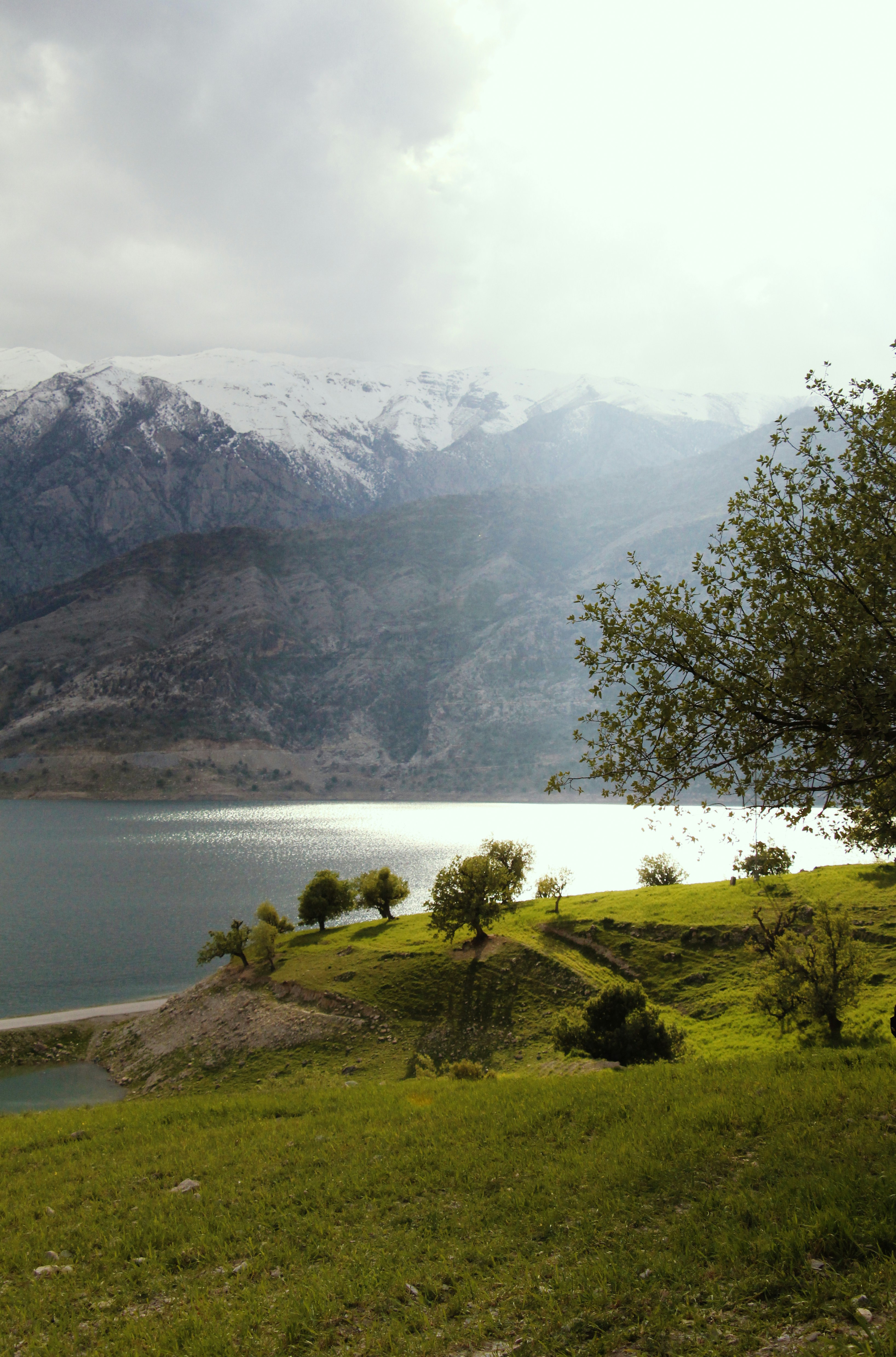 Green open field near trees viewing lake and mountain photo – Free Grey ...