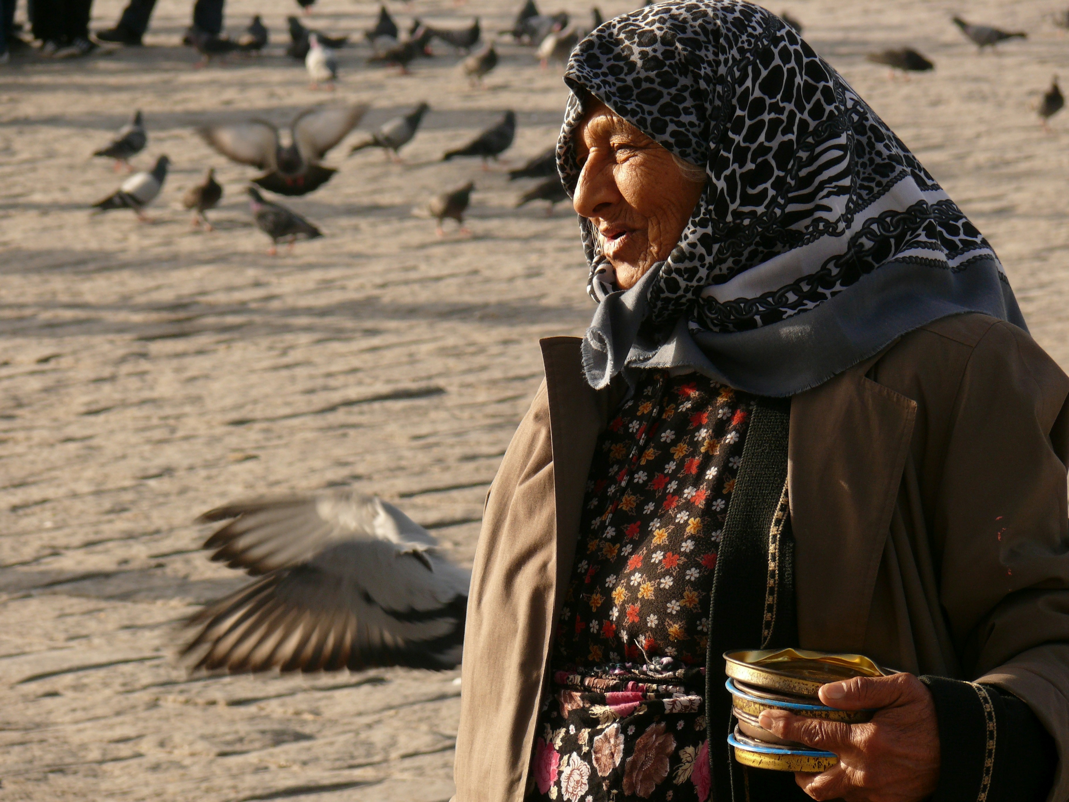 Warm Portrait on a Pigeon-Dotted Square
