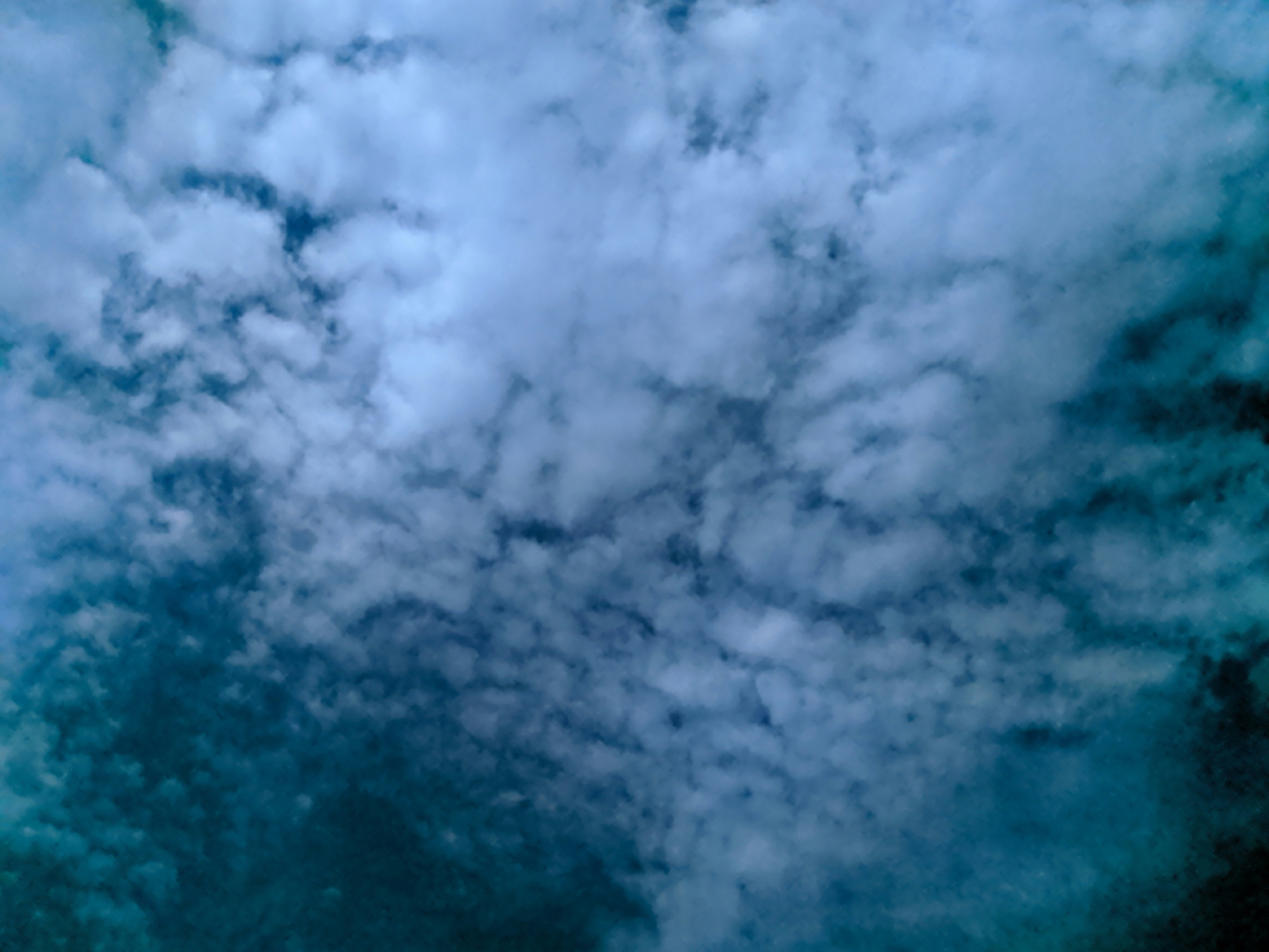 A textured expanse of clouds creating a dynamic, atmospheric backdrop, with varying shades of blue and white. 